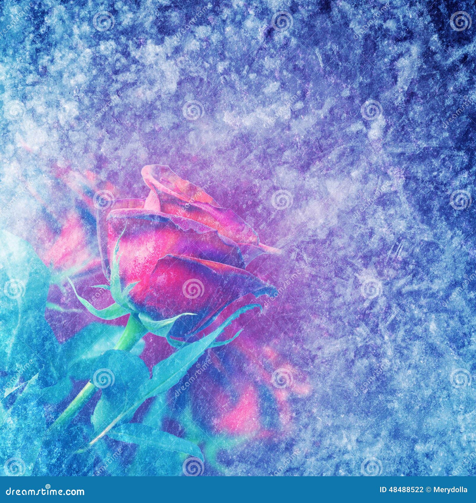 Frozen red roses stock photo. Image of color, present - 48488522
