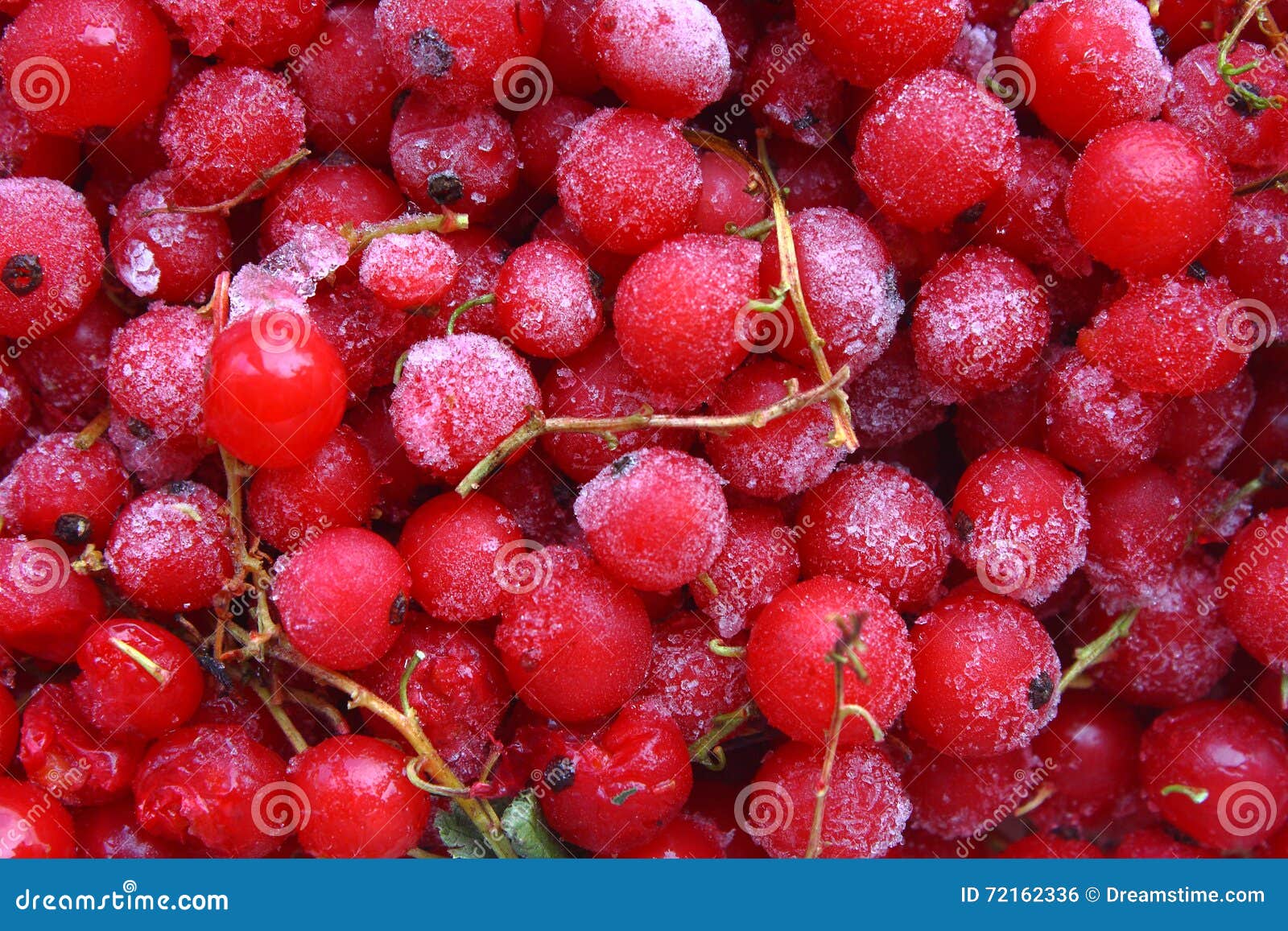 Frozen redcurrants stock photo. Image of derries, frozen - 72162336