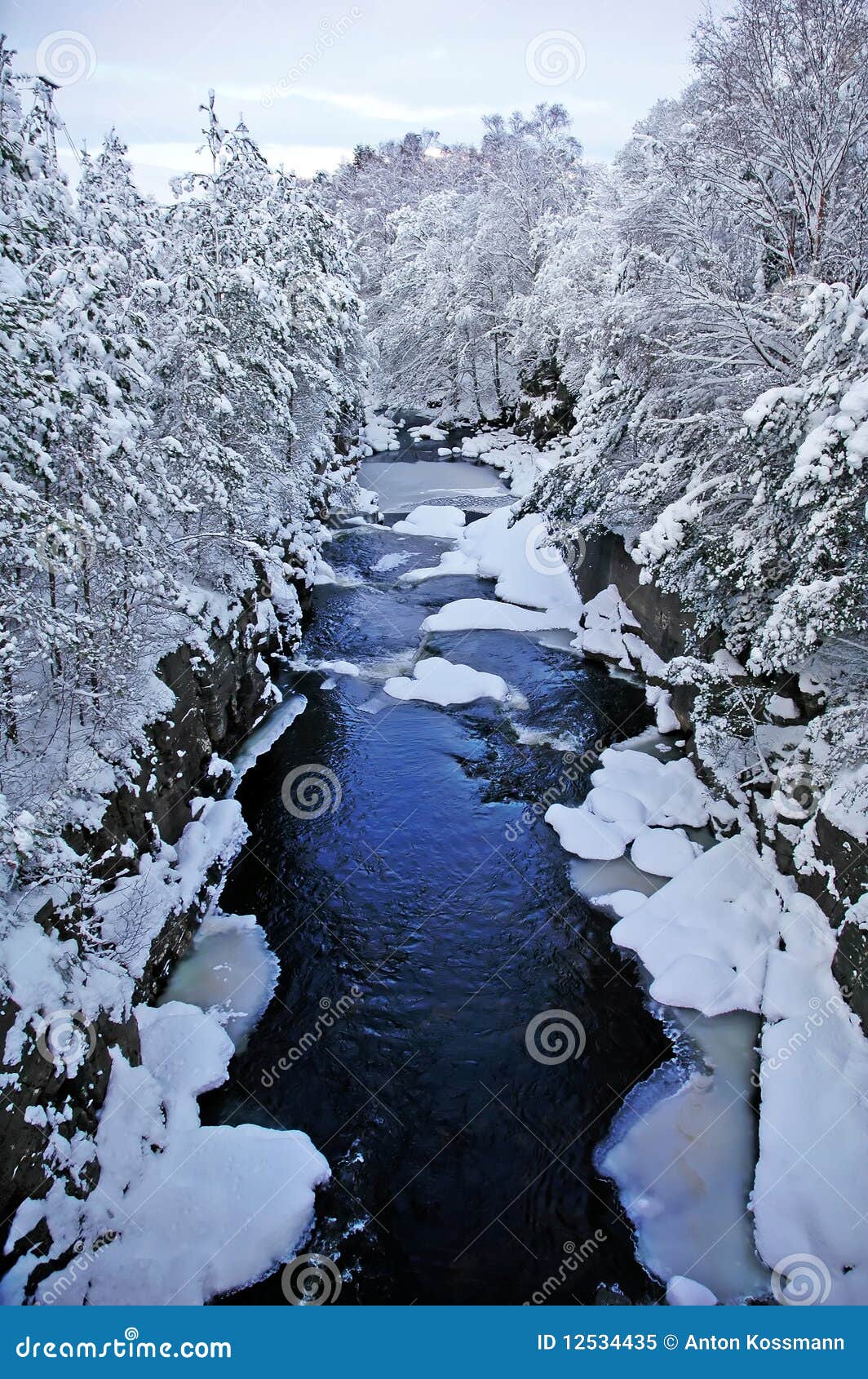 Frozen River stock image. Image of snow, trees, frozen - 12534435