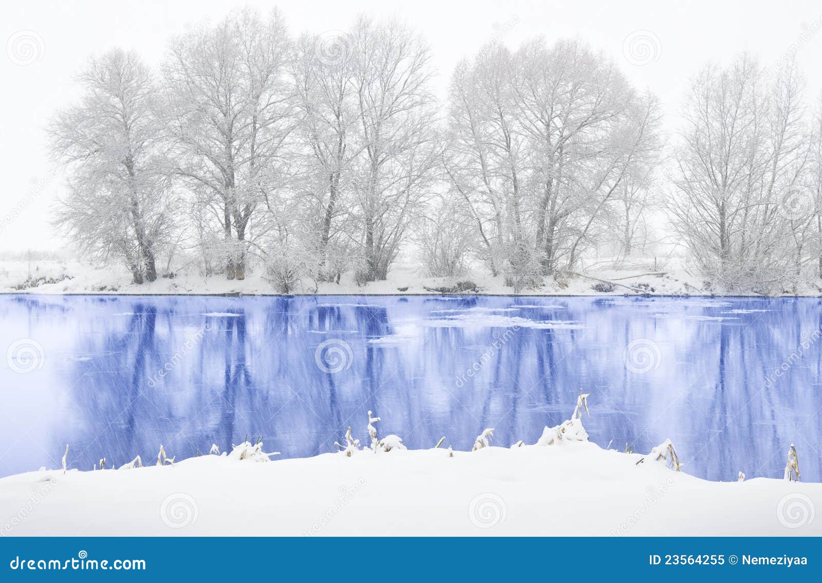 Frozen river stock image. Image of frost, landscape, branch - 23564255