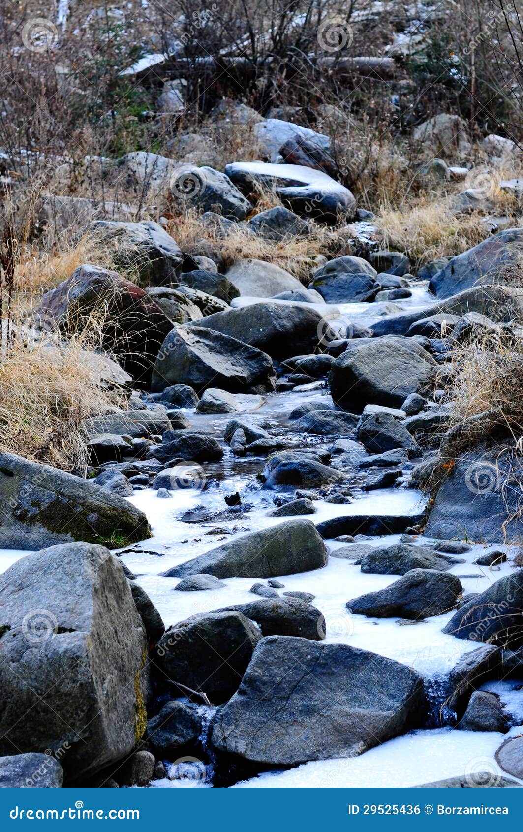 Frozen river stock photo. Image of brown, upright, grey - 29525436