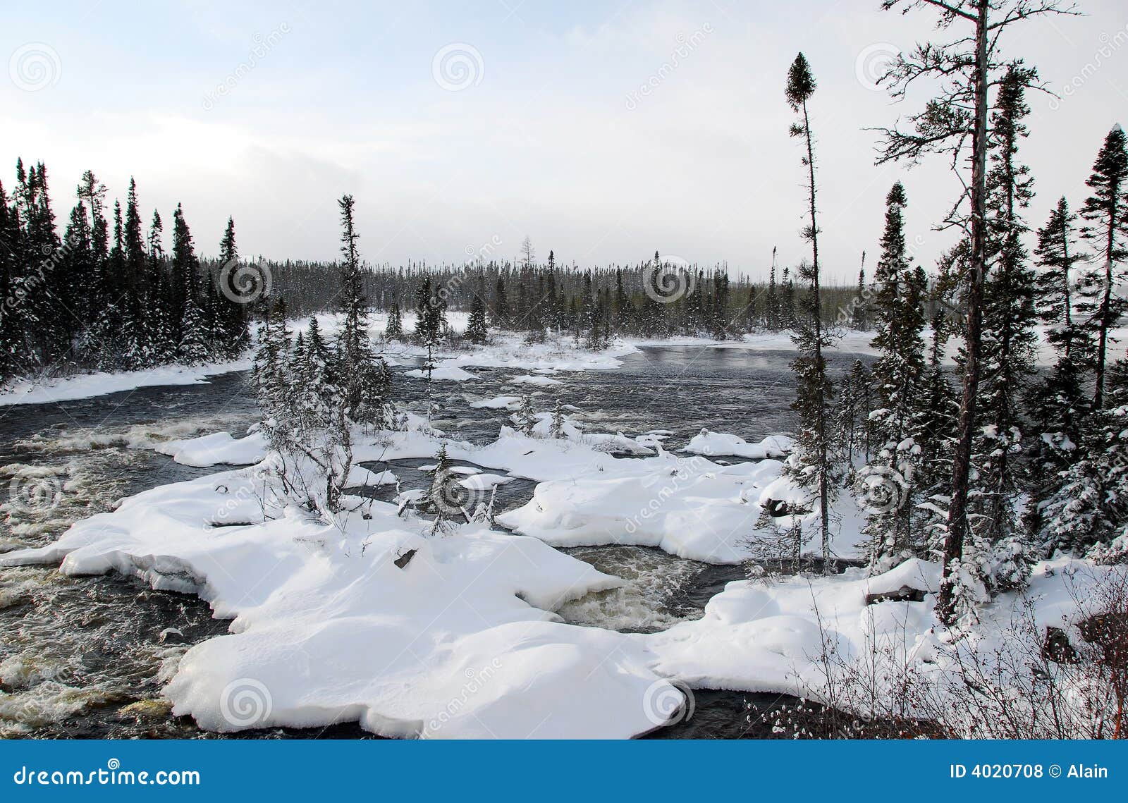 Frozen river stock photo. Image of season, snowy, frozen - 4020708