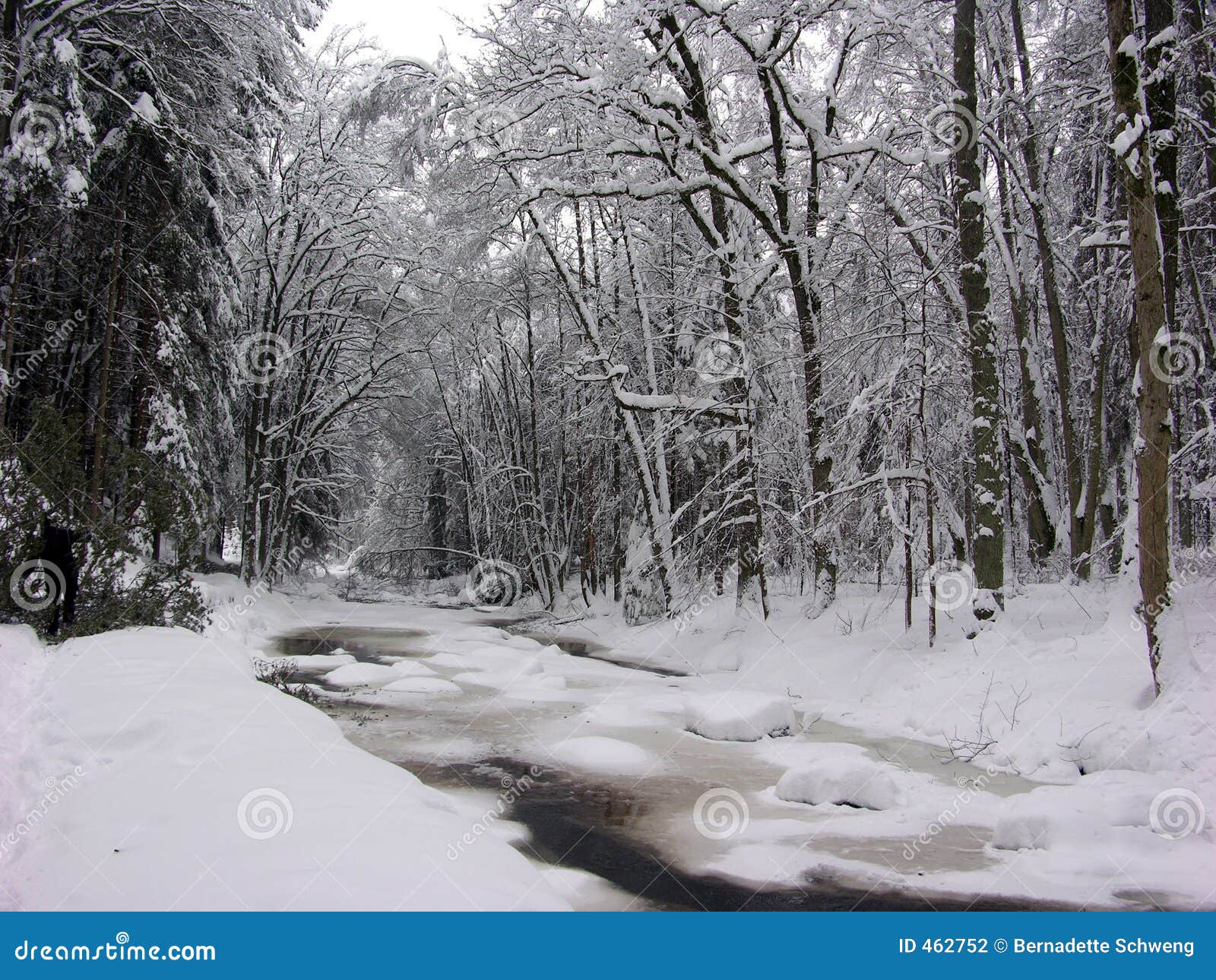 Frozen River stock photo. Image of snow, silence, impression - 462752