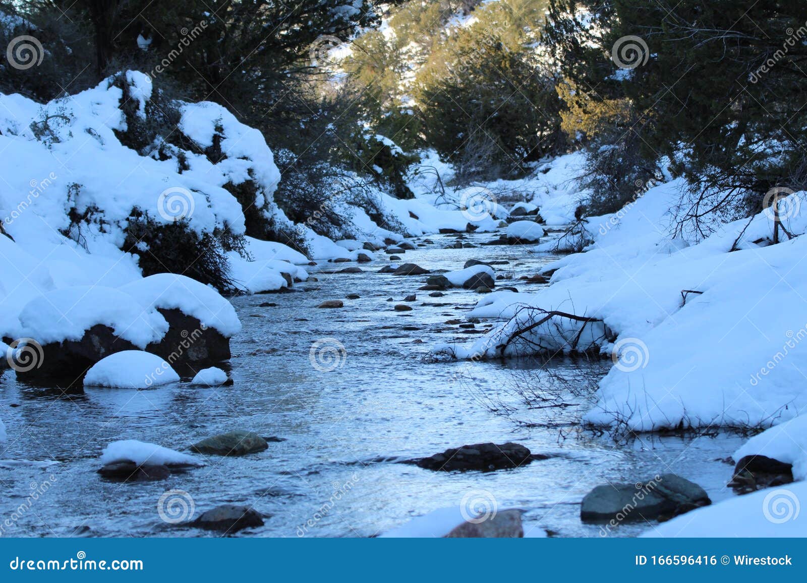 Frozen River Flowing in the Forest with the Ground Covered with Snow ...