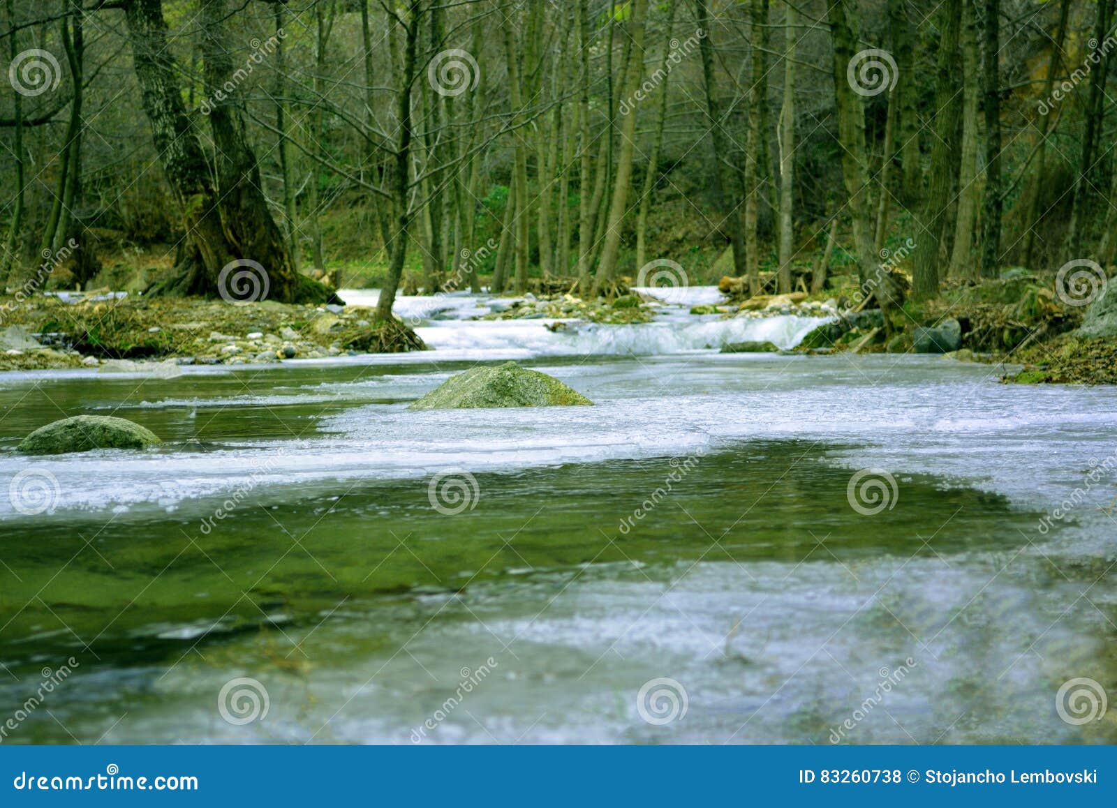 Frozen river stock photo. Image of greece, trout, trees - 83260738