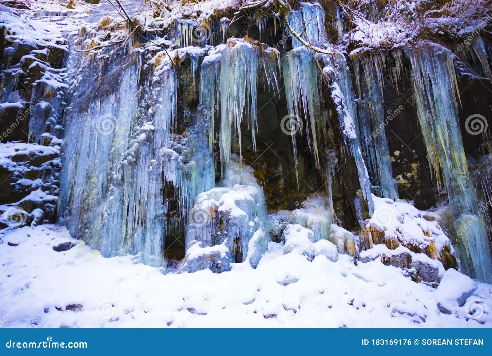 Icicles Inside of the Forest Stock Photo - Image of scenery, weather ...