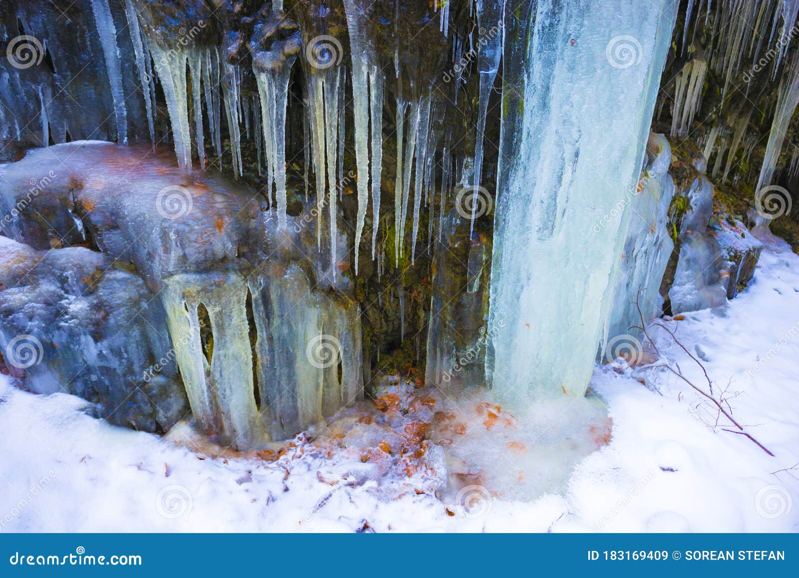 Icicles Inside of the Forest Stock Image - Image of nature, icicle ...