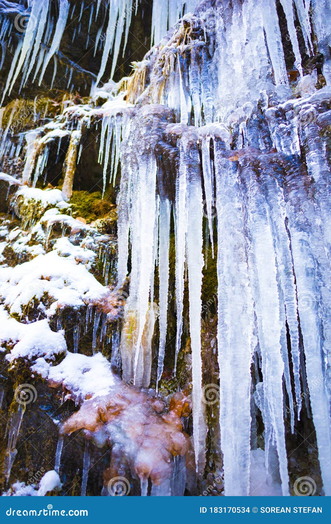 Icicles Inside of the Forest Stock Photo - Image of frozen, weather ...