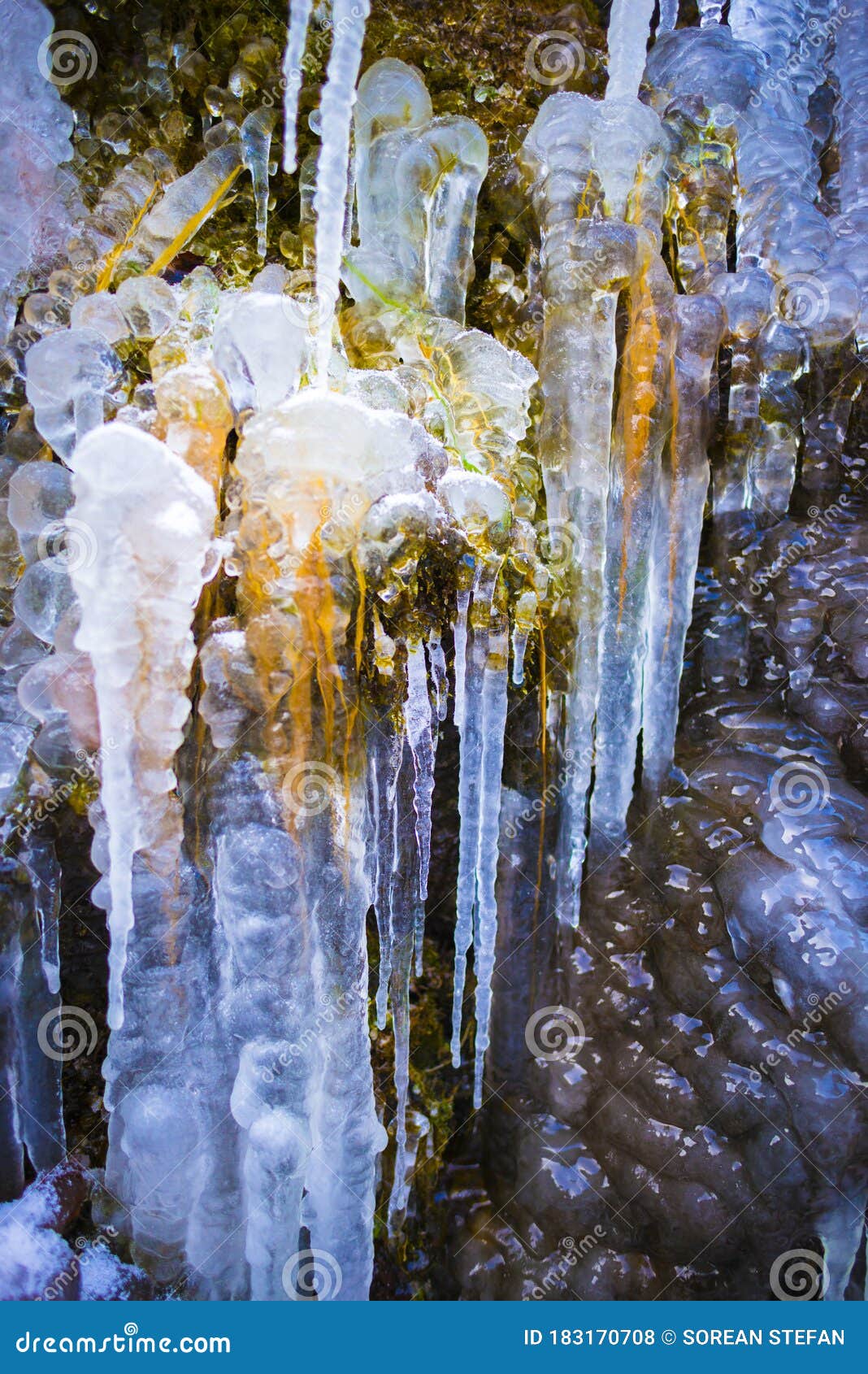 Icicles Inside of the Forest Stock Photo - Image of forest, frosty ...