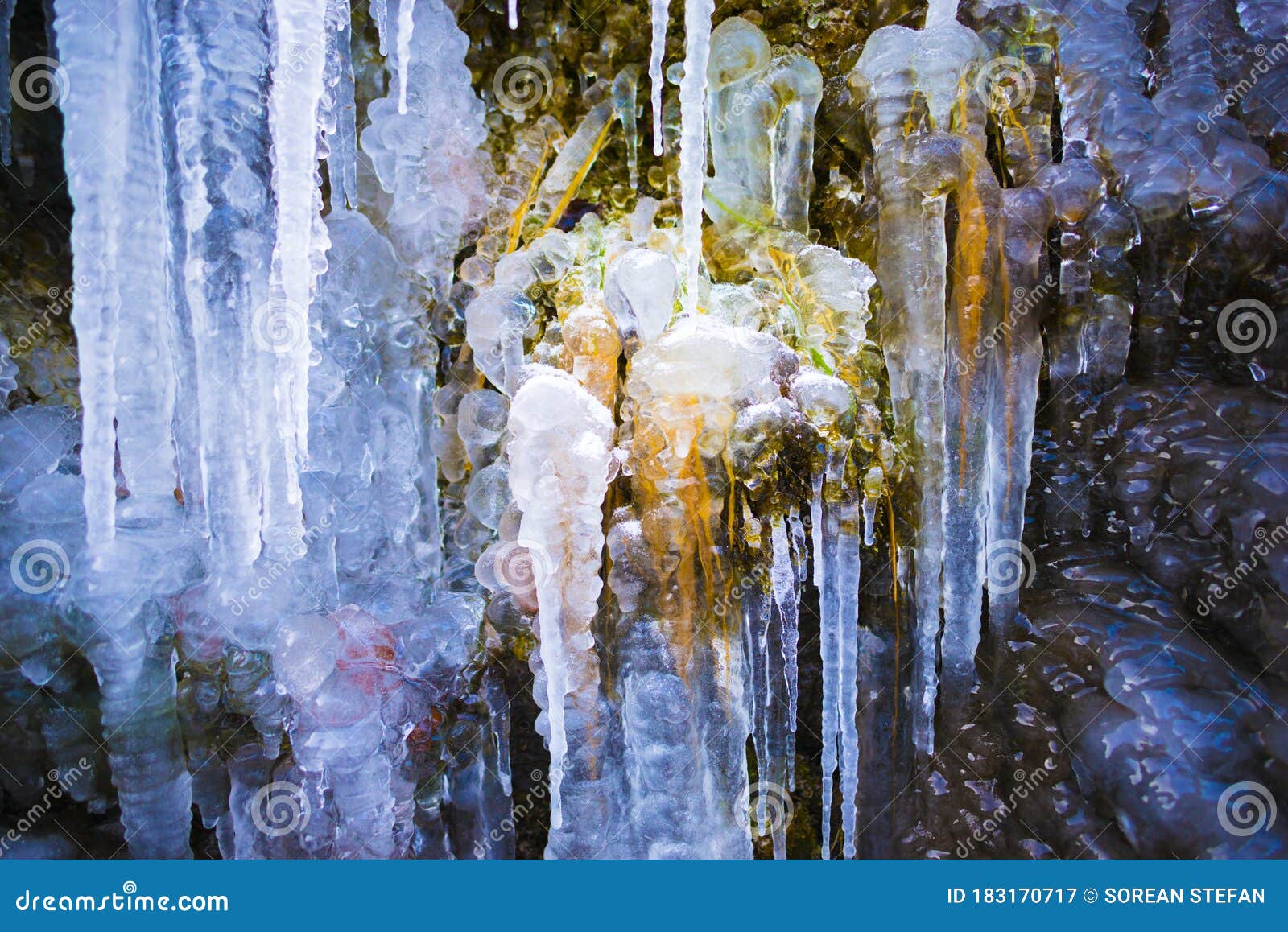 Icicles Inside of the Forest Stock Image - Image of environment, plant ...
