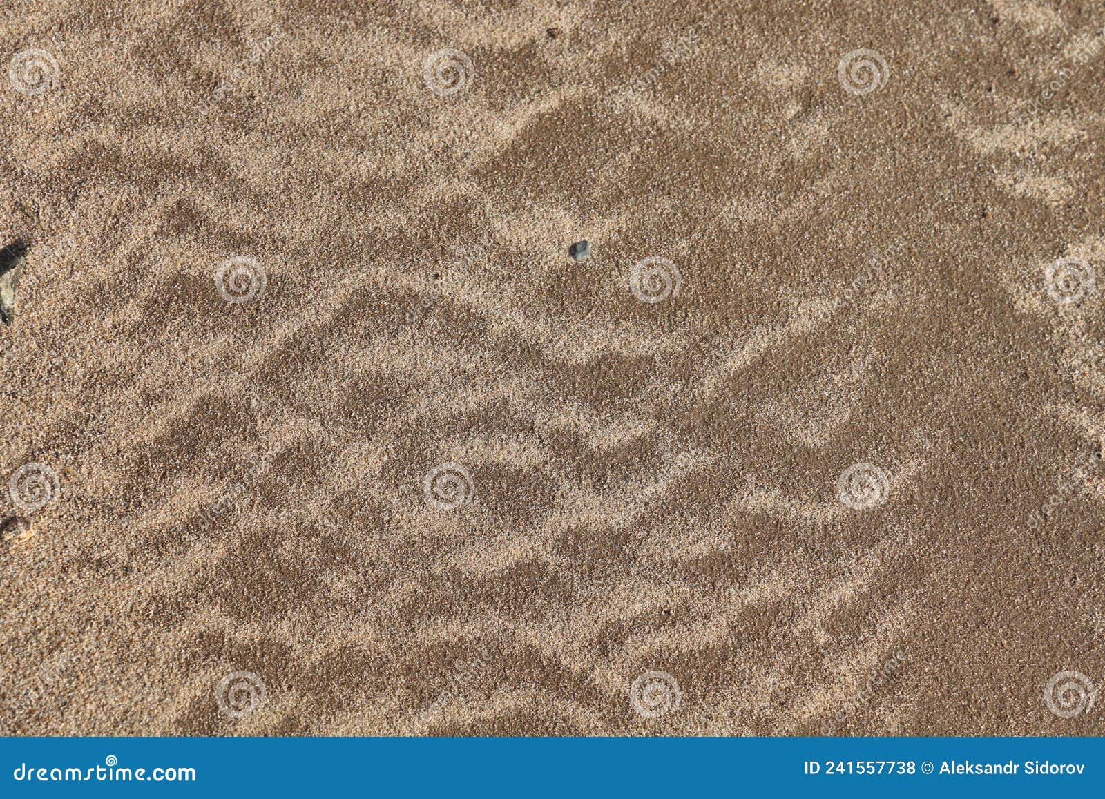 Frozen River Sand. Texture of River Sand. Sand Background. Stock Photo ...