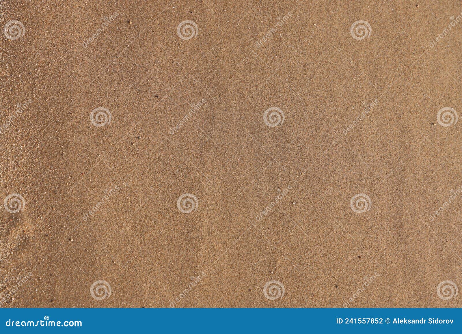 Frozen River Sand. Texture of River Sand. Sand Background. Stock Photo ...