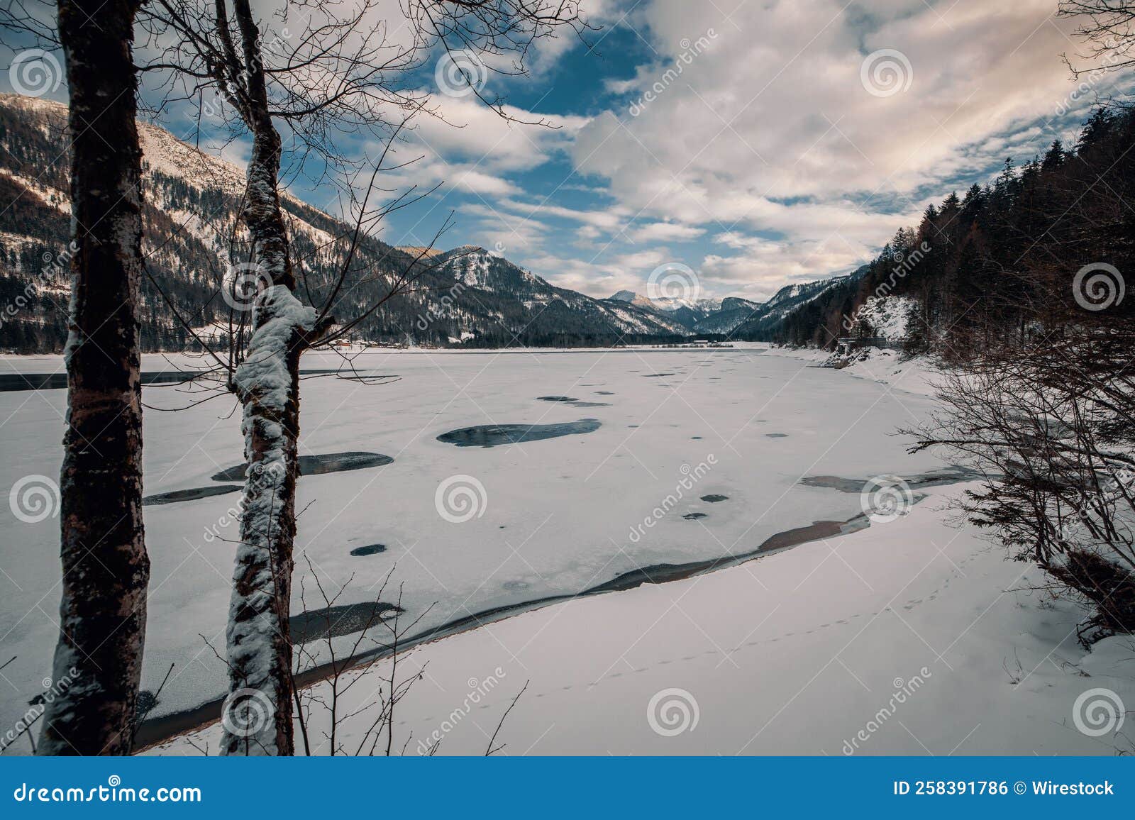 Frozen River Stream in a Forest in Winter Stock Photo - Image of ...