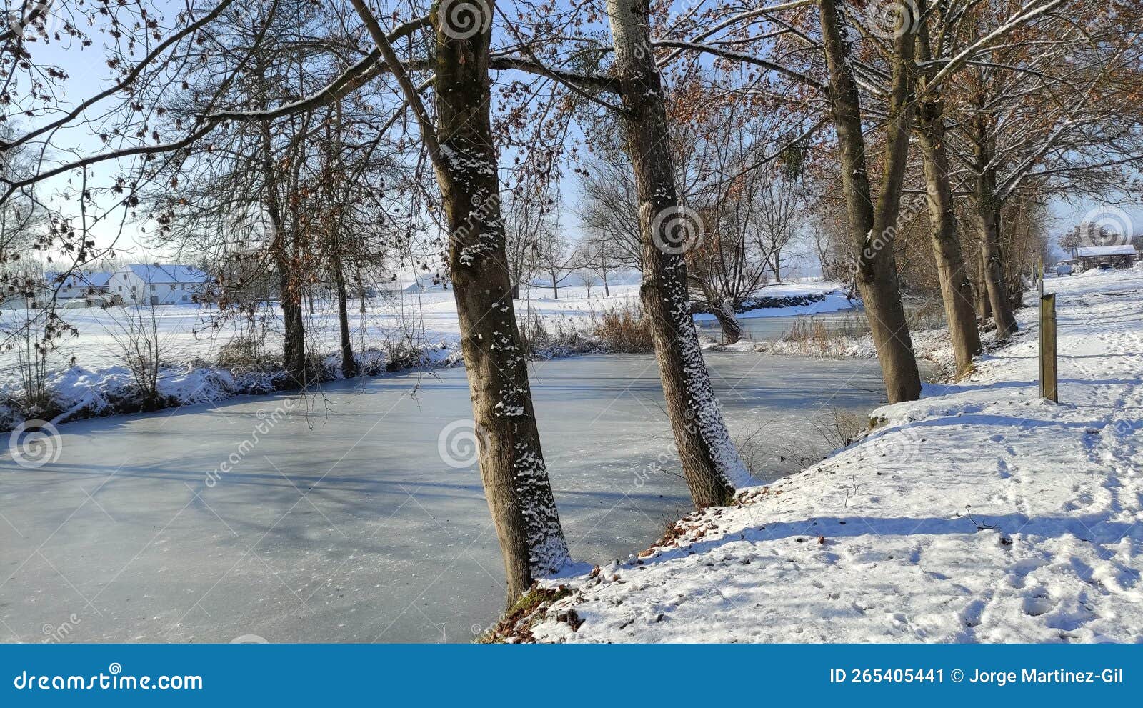 Frozen river in winter stock image. Image of forest - 265405441