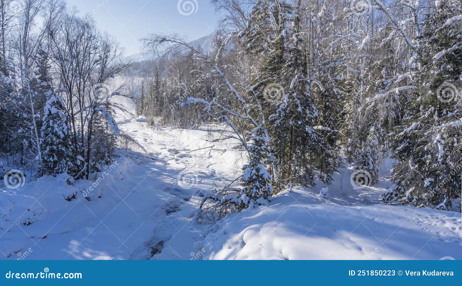 The Frozen Riverbed Winds through the Snow-covered Forest. Stock Image ...