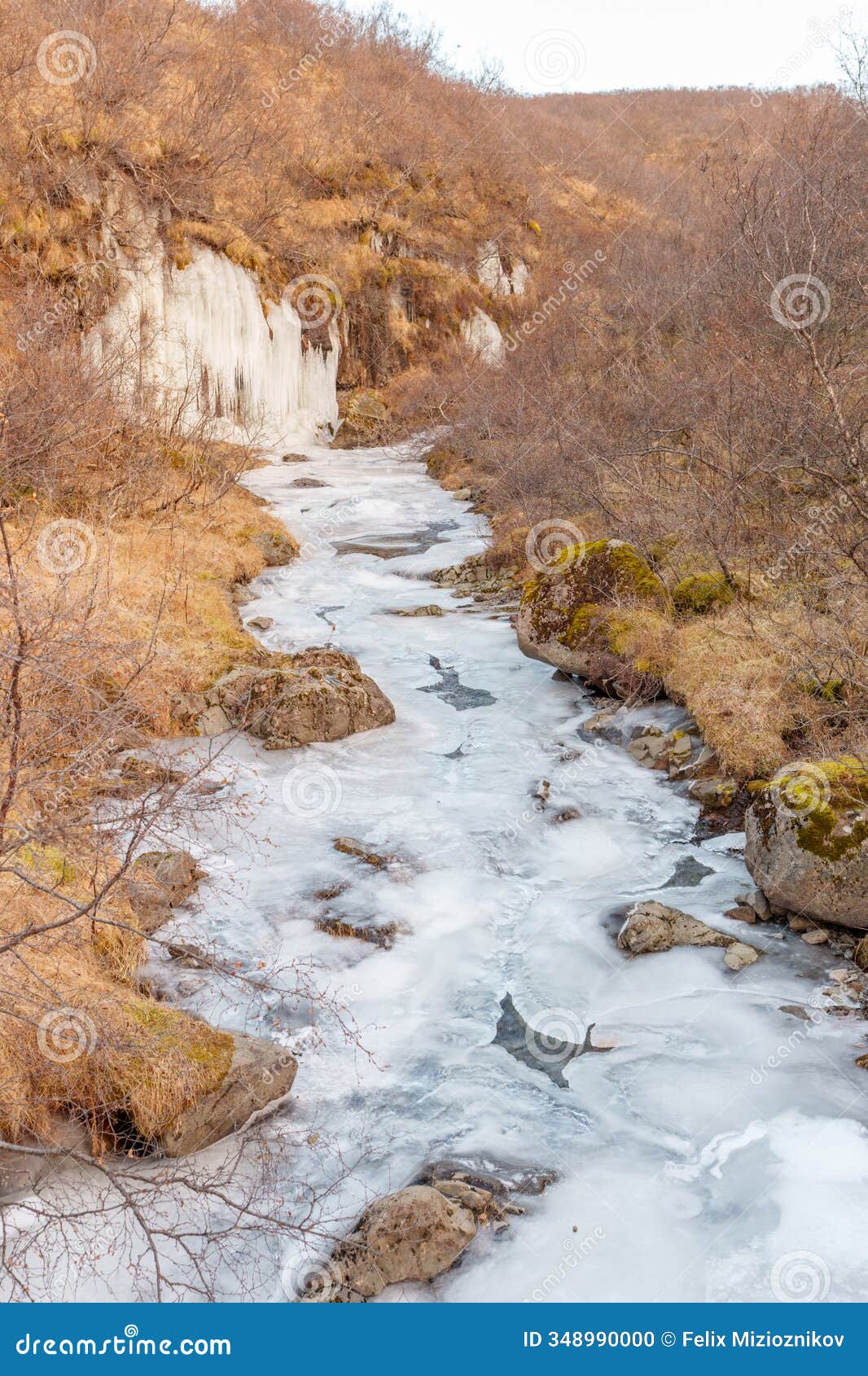 Frozen Rivers in Iceland Skaftafell 2024 Stock Photo - Image of nordic, island: 348990000