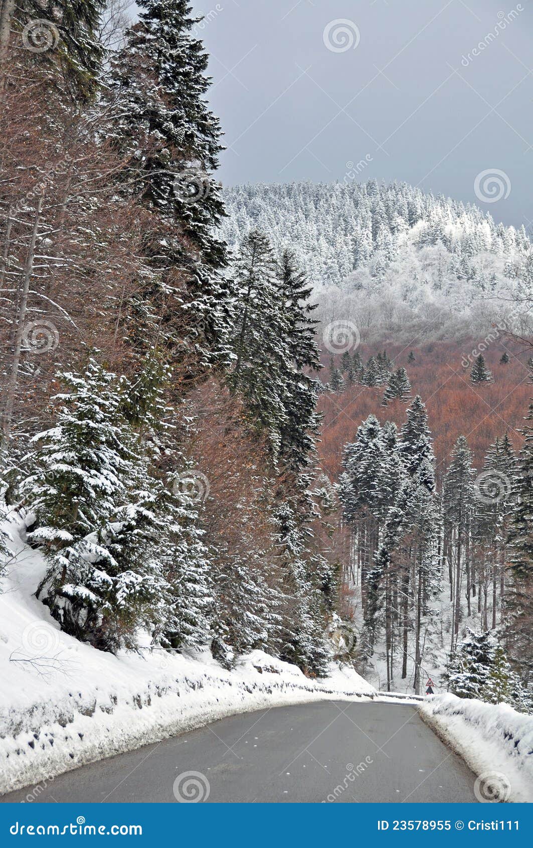 Frozen road stock image. Image of iced, dust, degree - 23578955