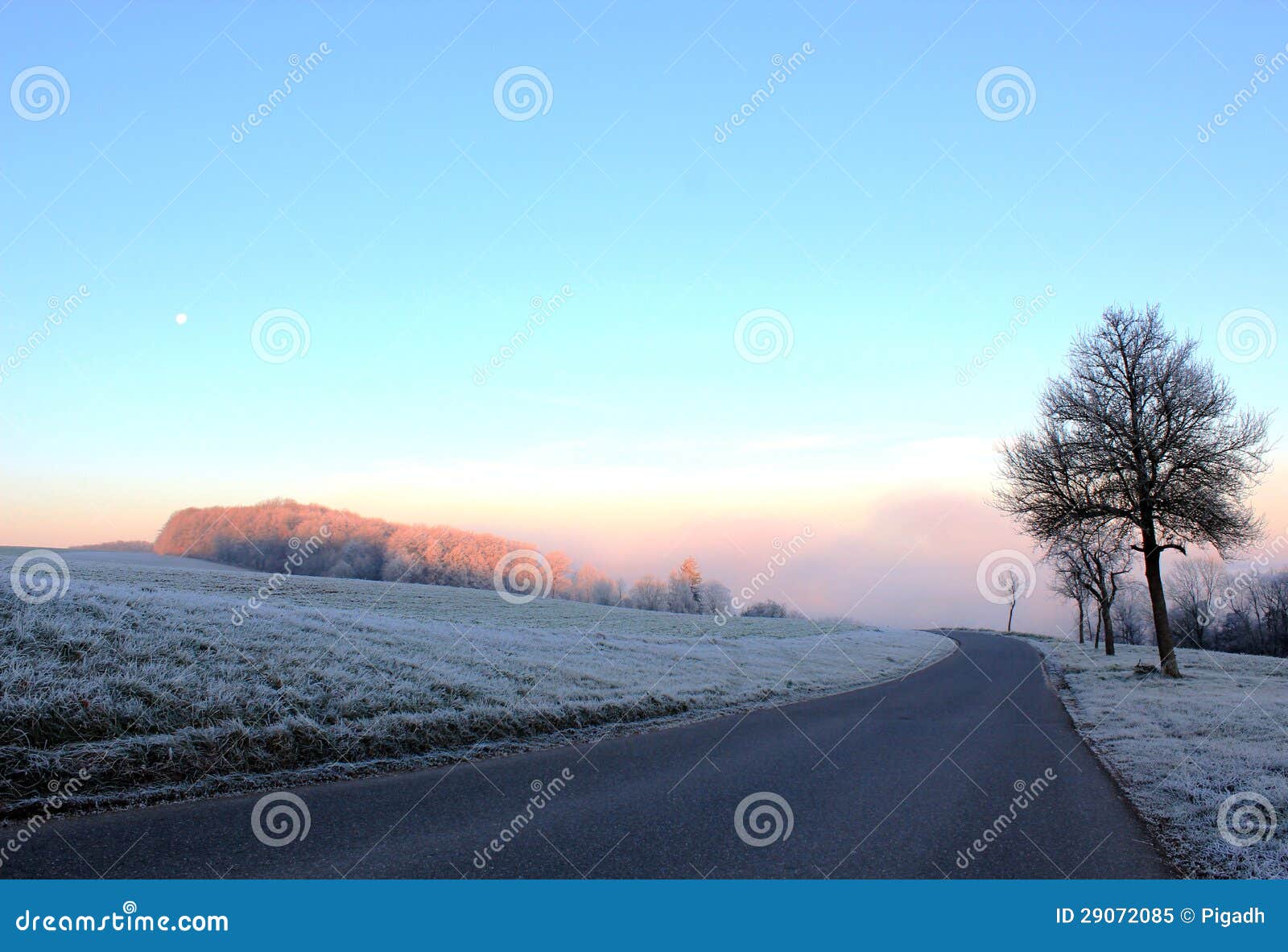 Frozen road stock image. Image of street, road, danger - 29072085