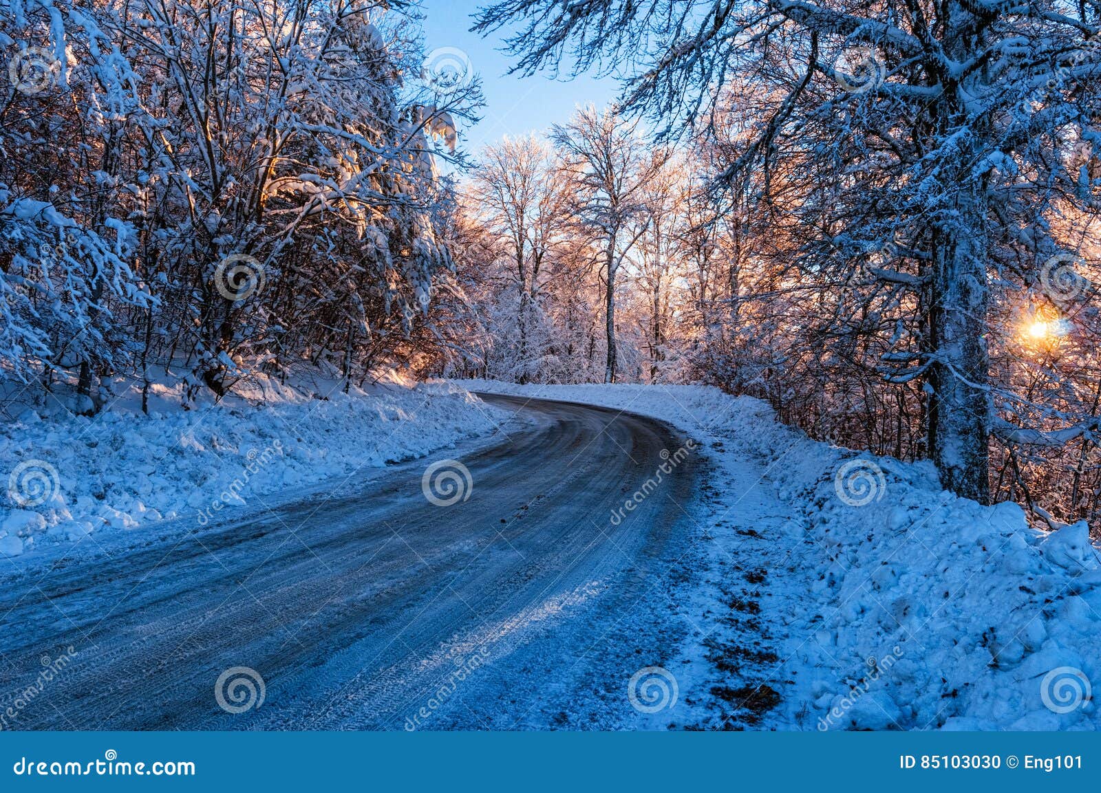 Frozen Road in a Snowy Forest at Sunset Stock Photo - Image of beech ...