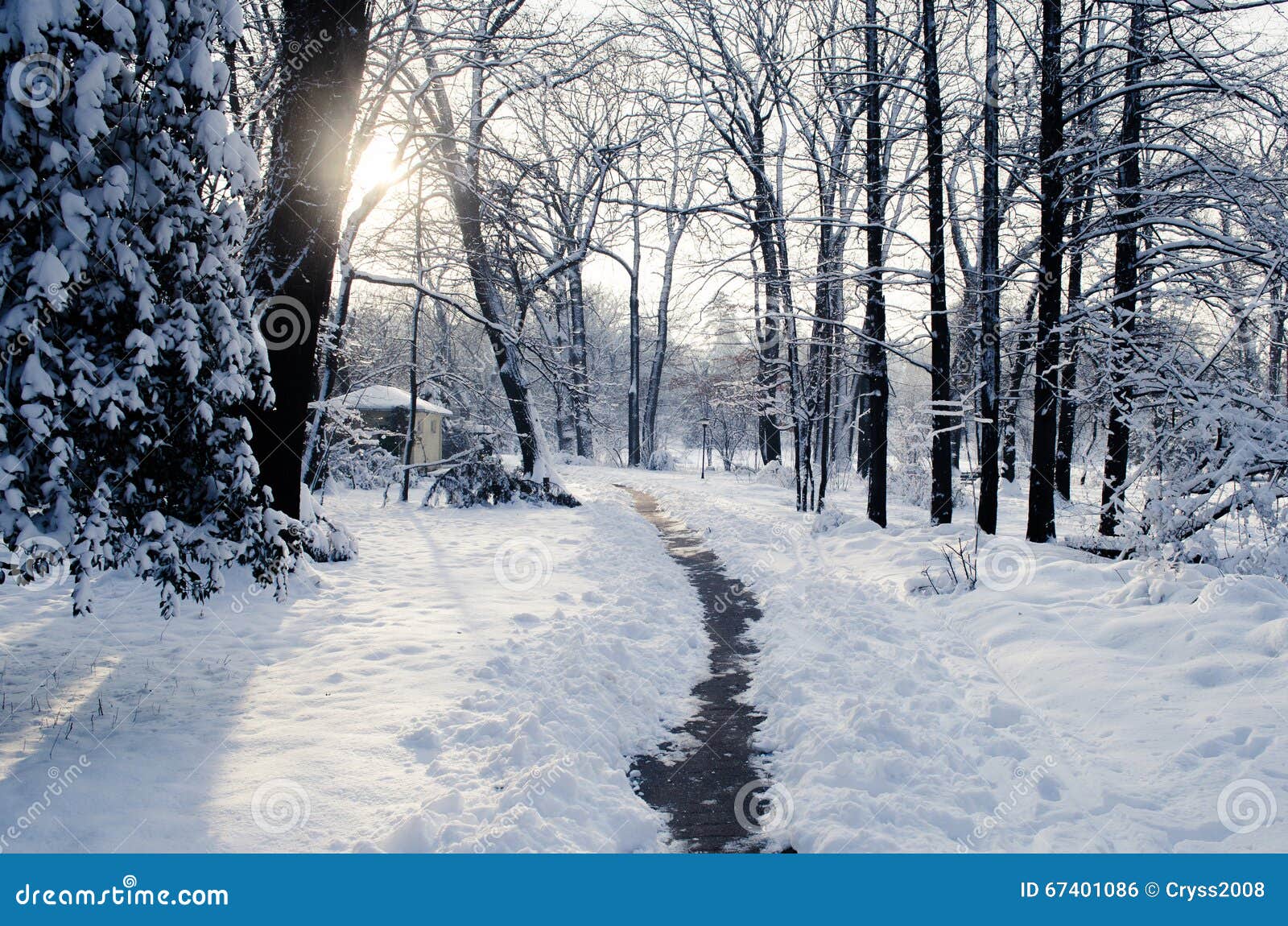 Frozen road stock photo. Image of season, tranquil, road - 67401086