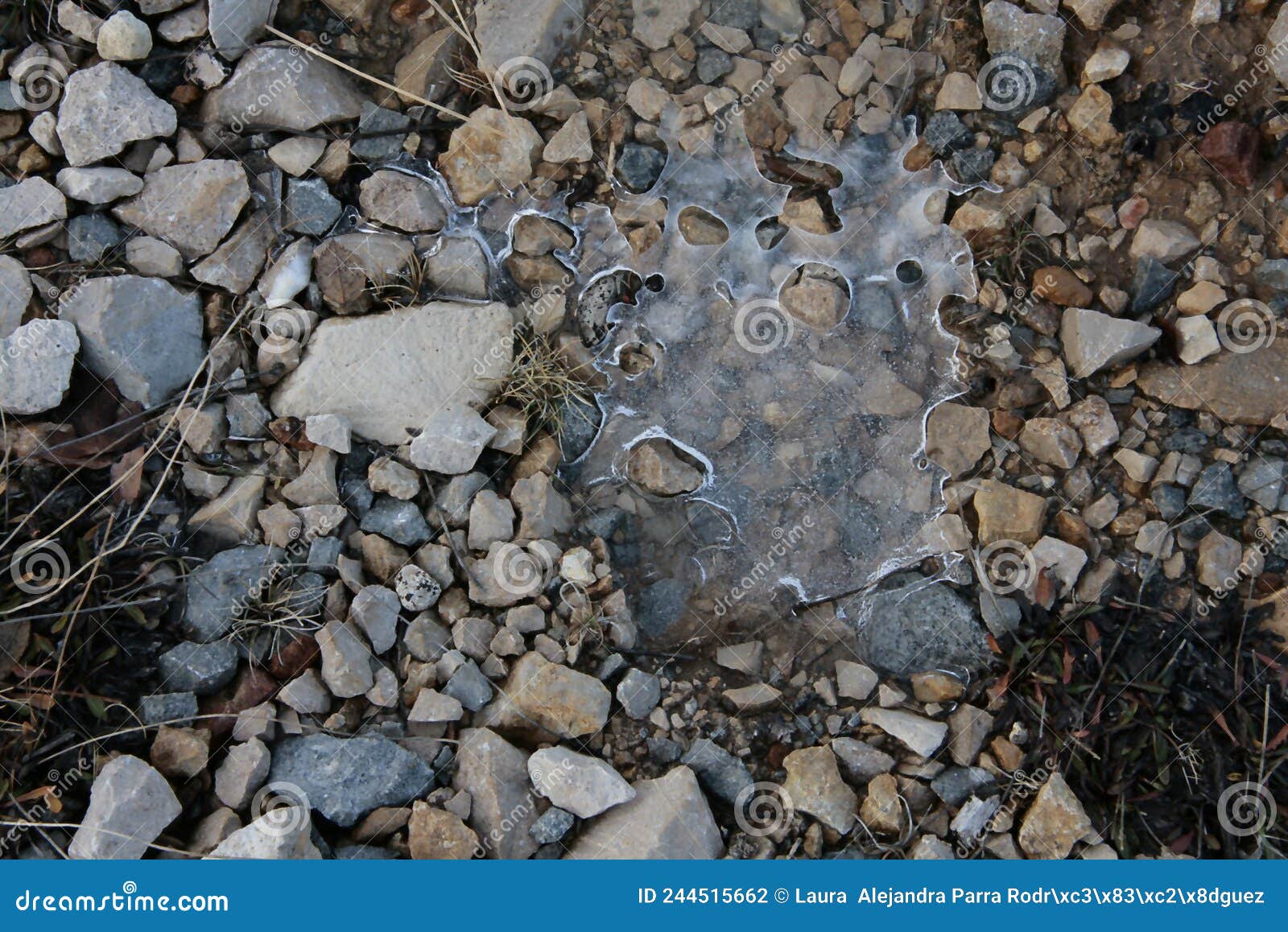 Frozen Rocks and Water Winter Texture Stock Photo - Image of soil ...