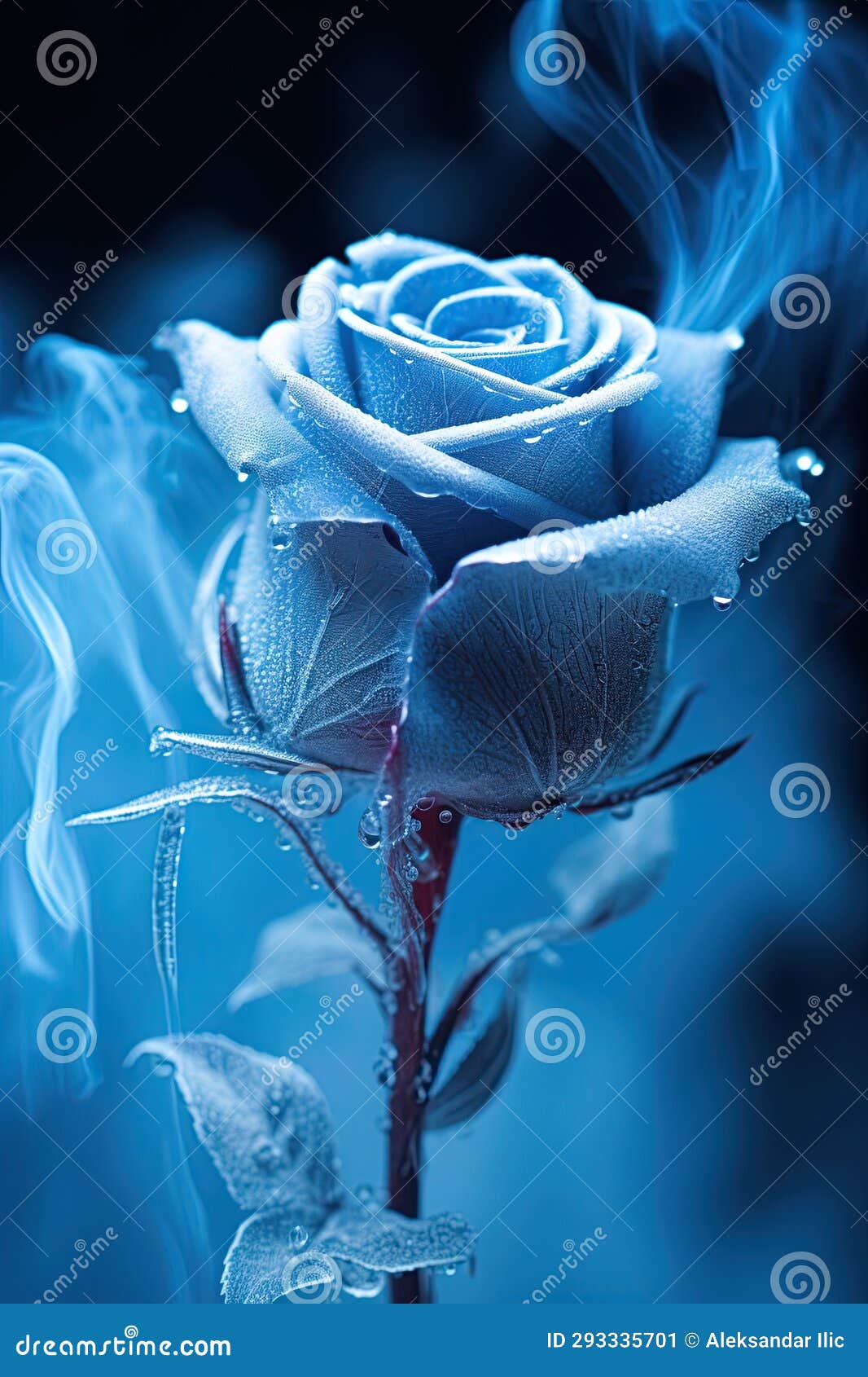 Frozen Rose Poster Design. Generative Ai Stock Illustration ...