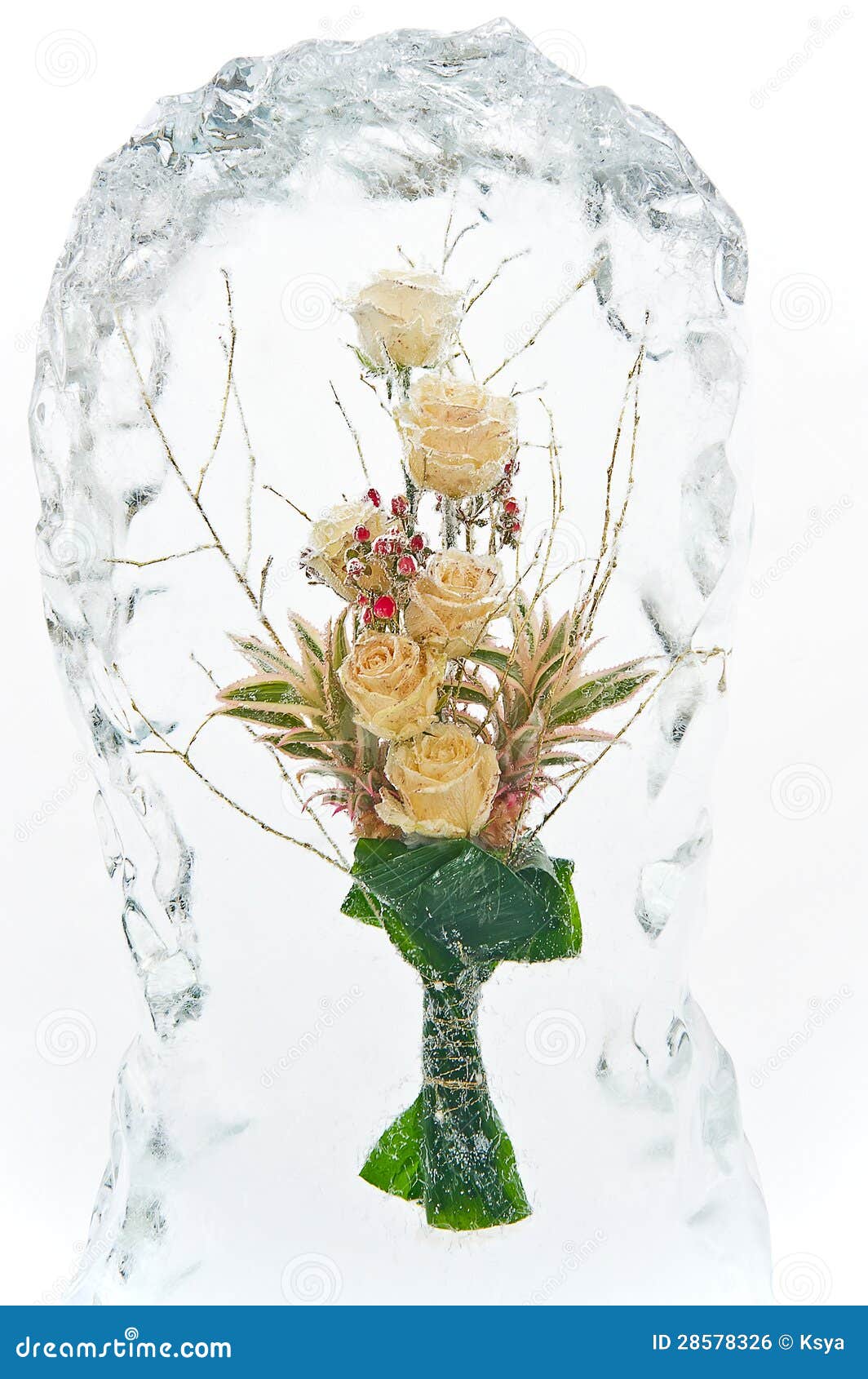 Frozen roses bouquet stock photo. Image of arrangement - 28578326