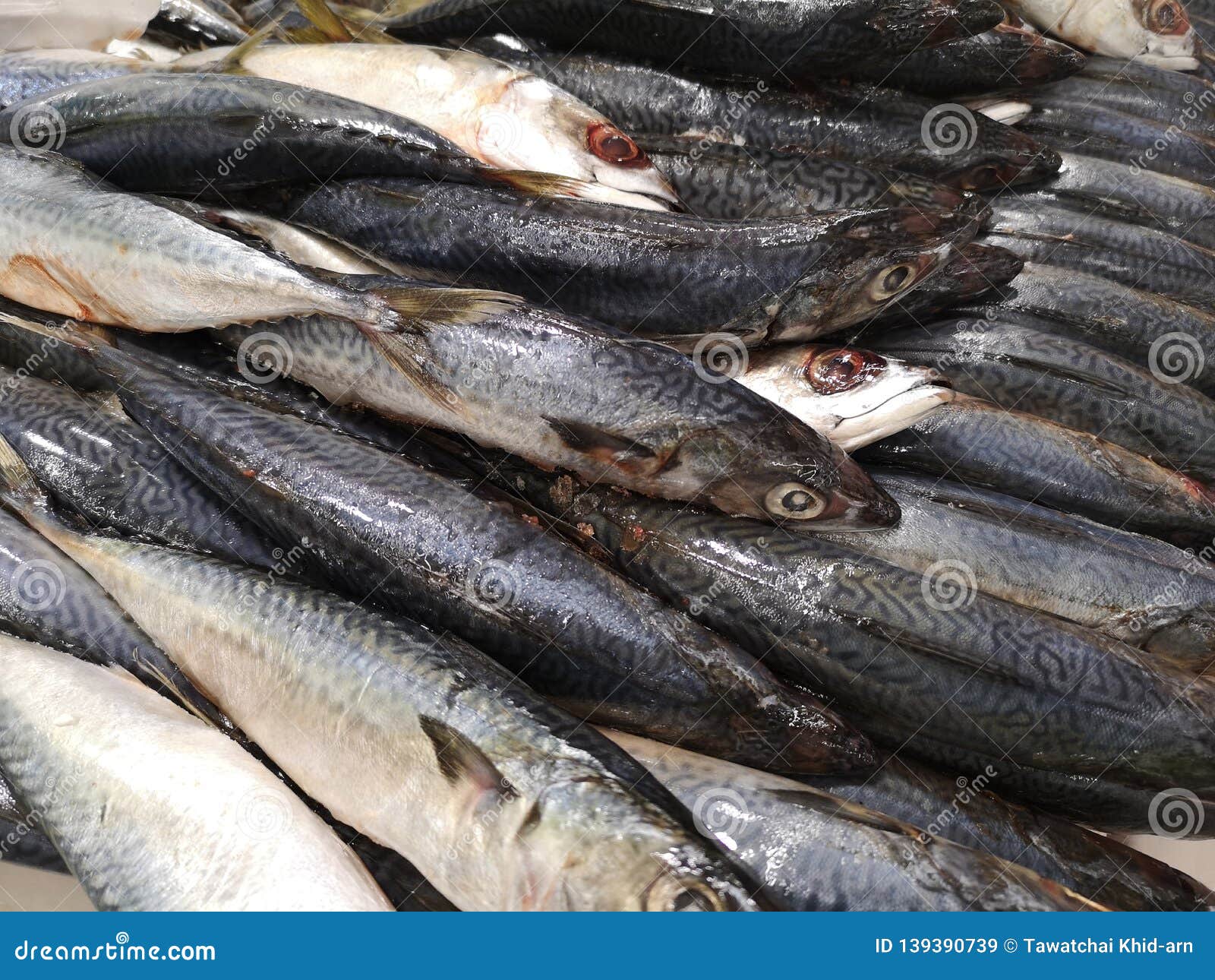 Frozen Saba Fish on Ice in Supermarket Stock Image - Image of food ...