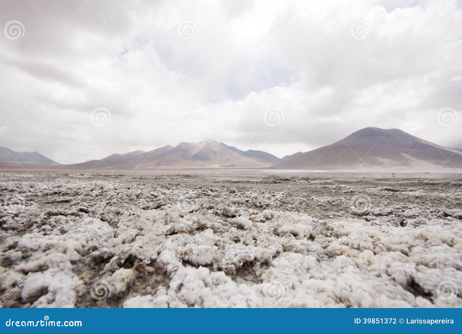 Frozen salt stock photo. Image of mountains, wilderness - 39851372