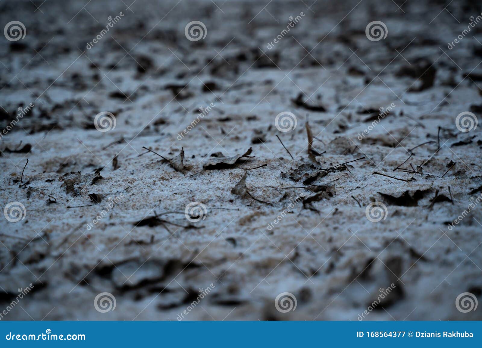 Frozen Sand Under Snow. Textures Abstract Background Stock Image ...