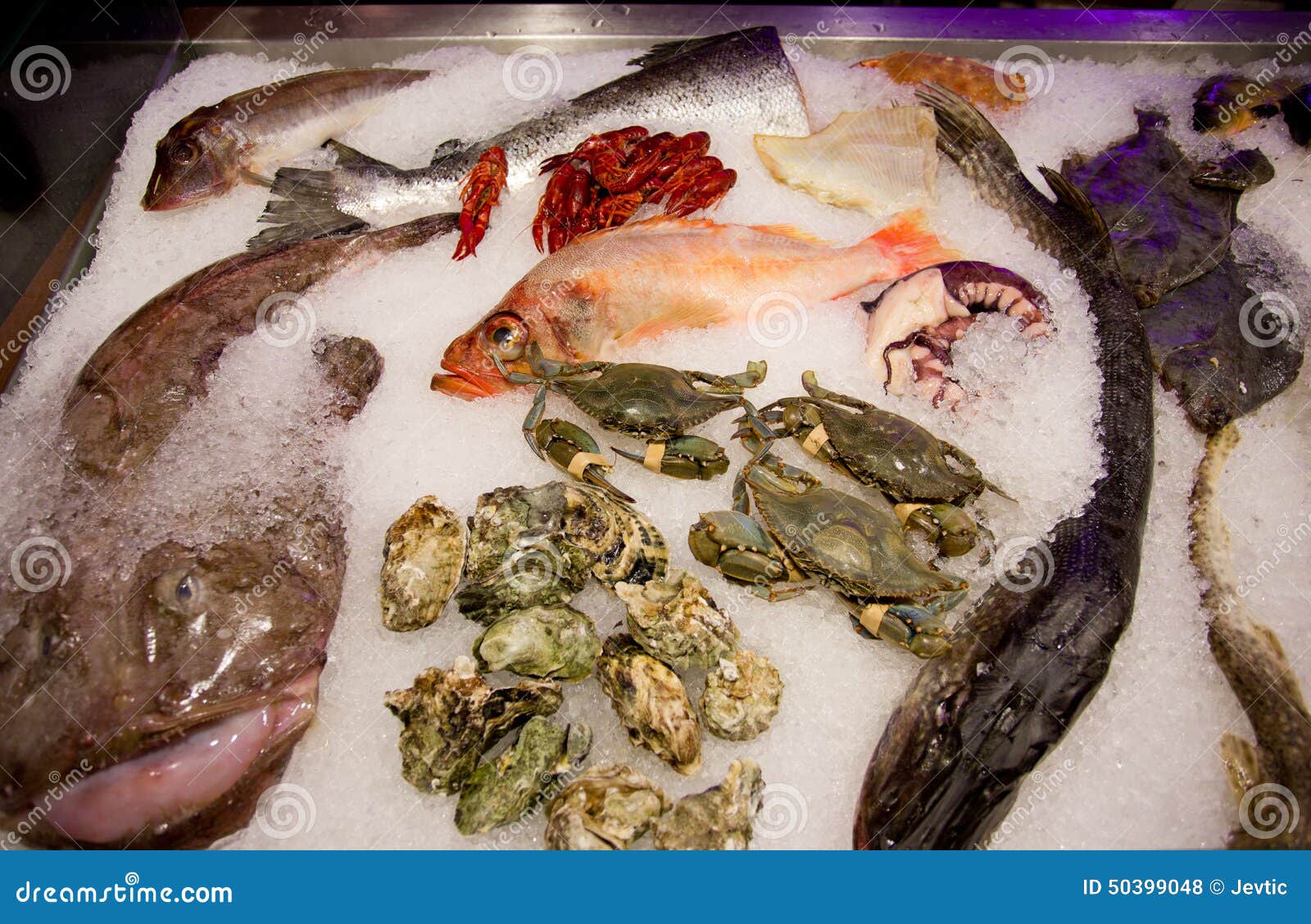 Frozen seafood stock photo. Image of european, crab, crustacean - 50399048