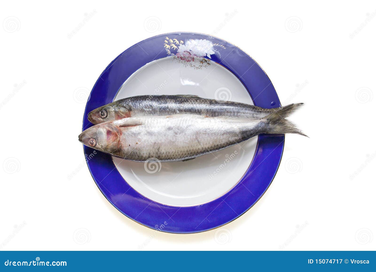 Frozen Shad Fish on the Plate Isolated Stock Image - Image of fish ...