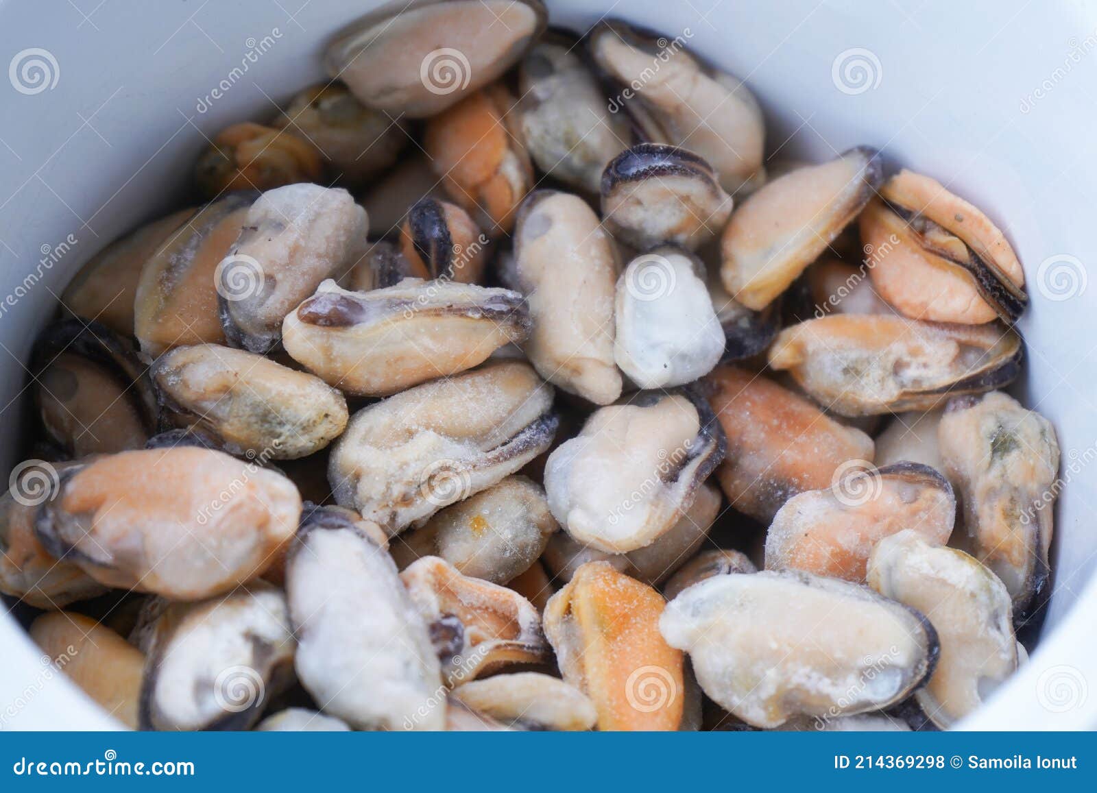 Frozen Shells Ready To Be Cooked. Product Photography. Stock Photo ...