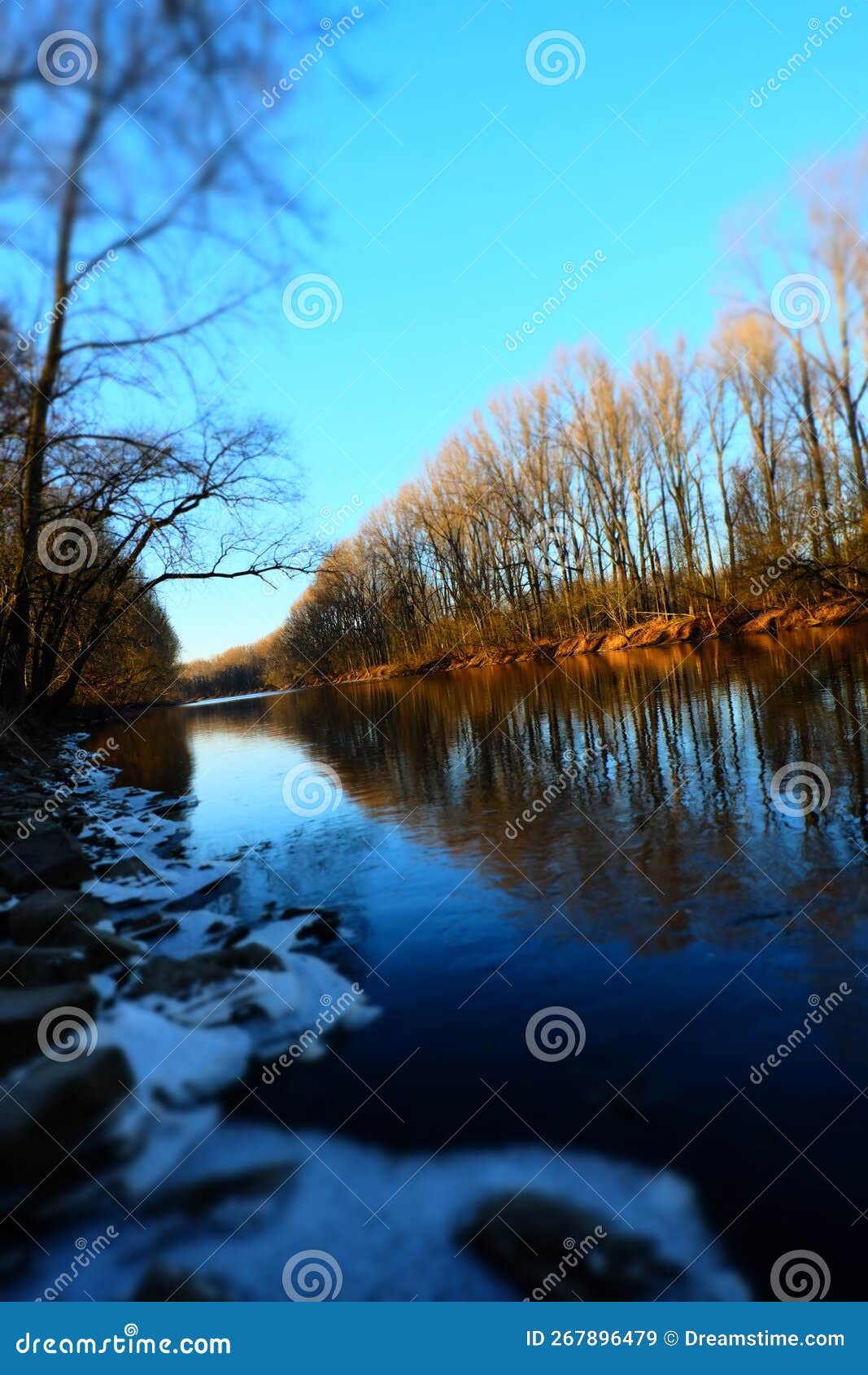 Frozen Shore of the River Sieg Just before the Melting Sunshine Stock ...