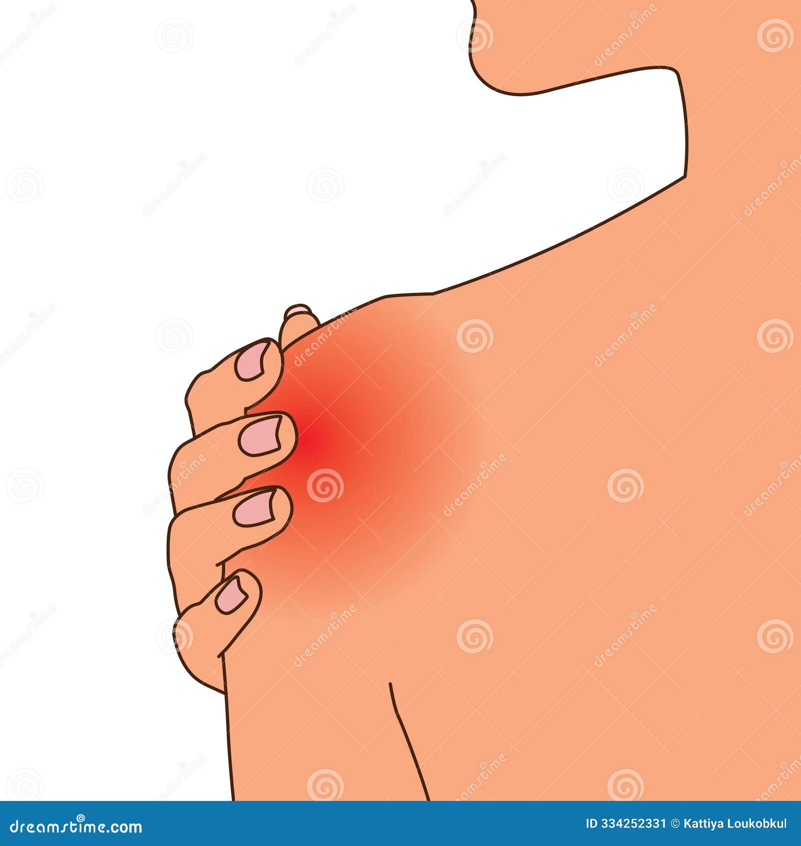 Frozen Shoulder - Human Skeleton, Bone Anatomy, Artwork Illustration 2d ...