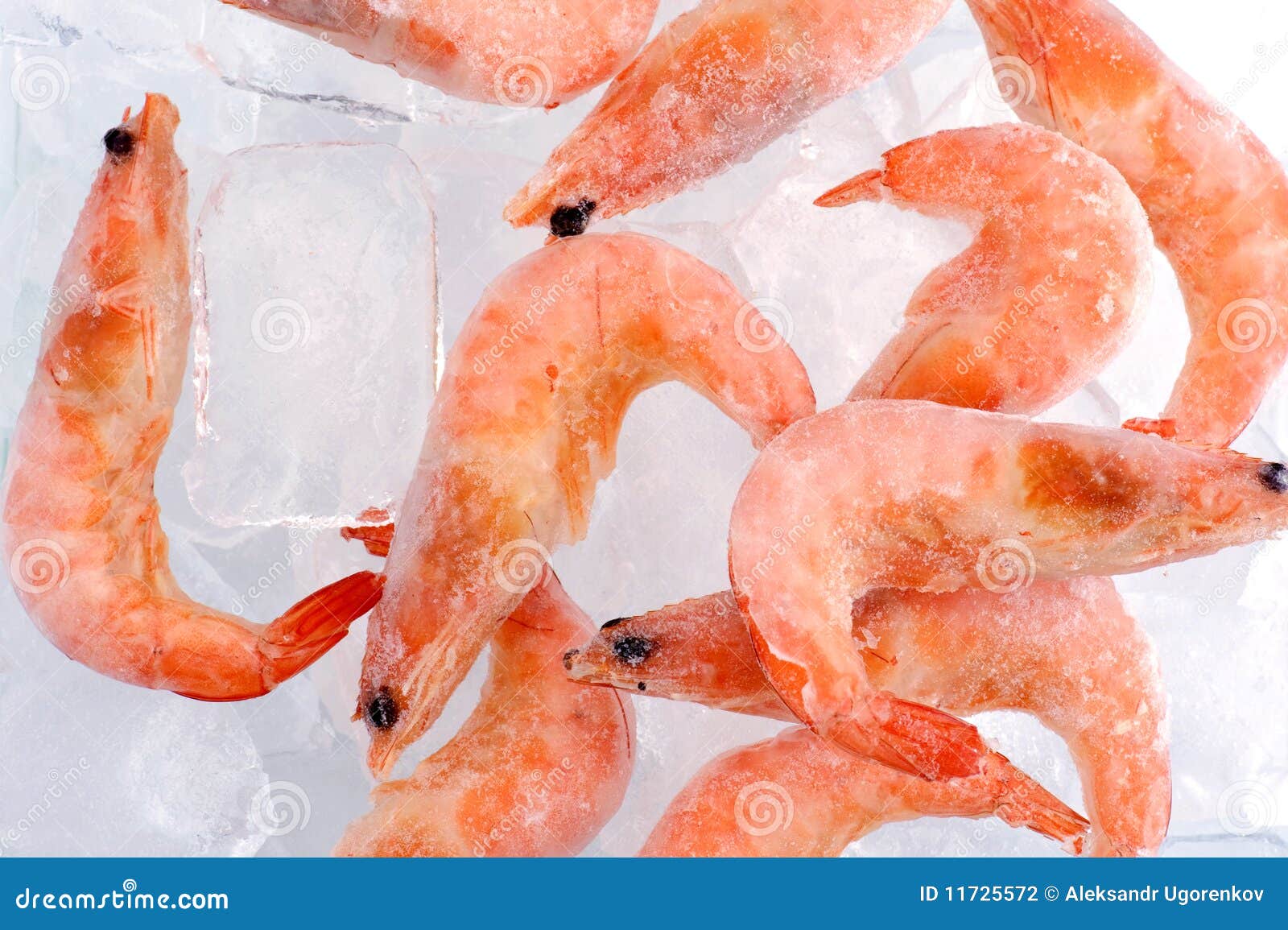 Frozen Shrimp Royalty-Free Stock Image | CartoonDealer.com #47513500