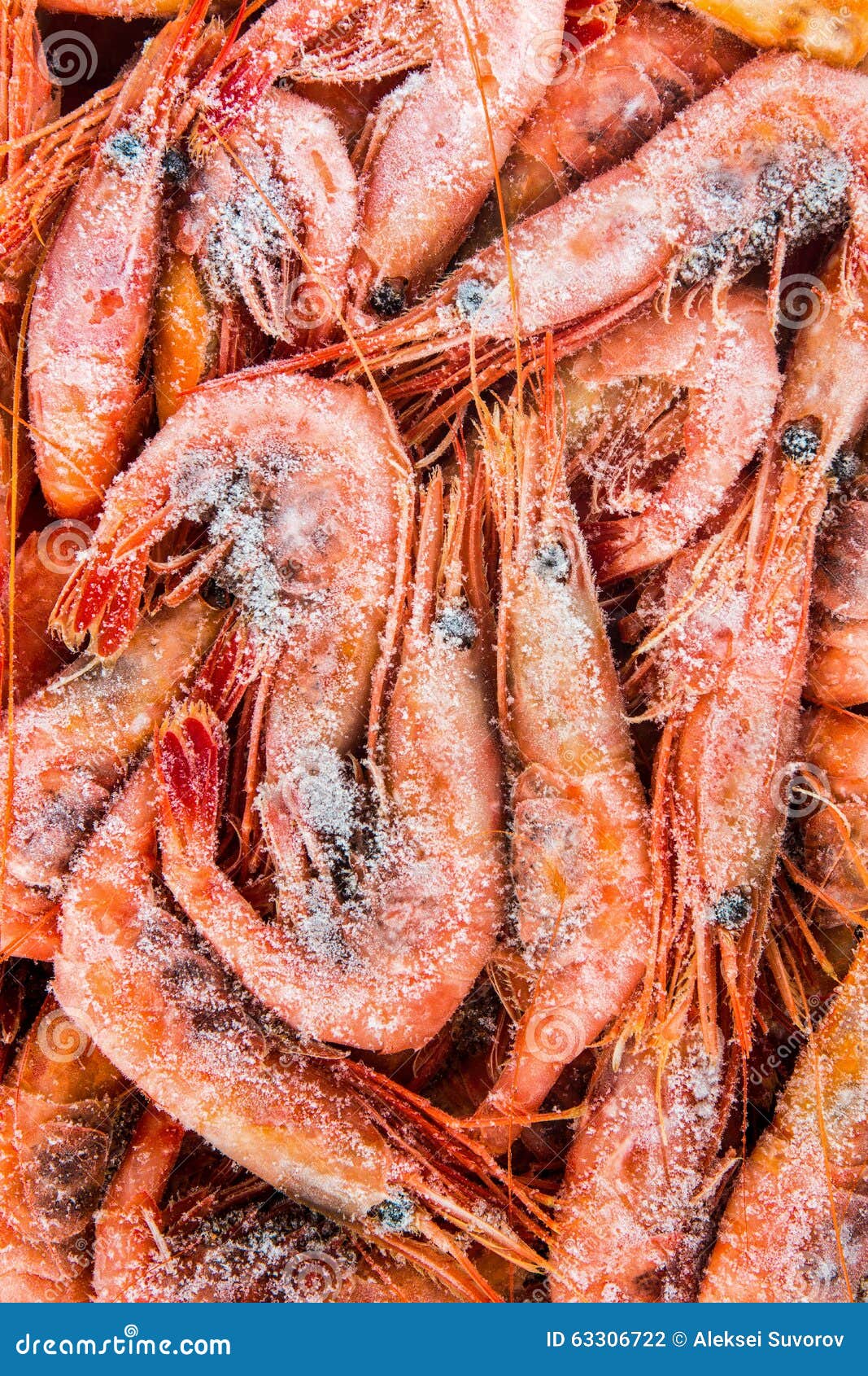 Frozen shrimp packaged stock photo. Image of catarrh - 63306722