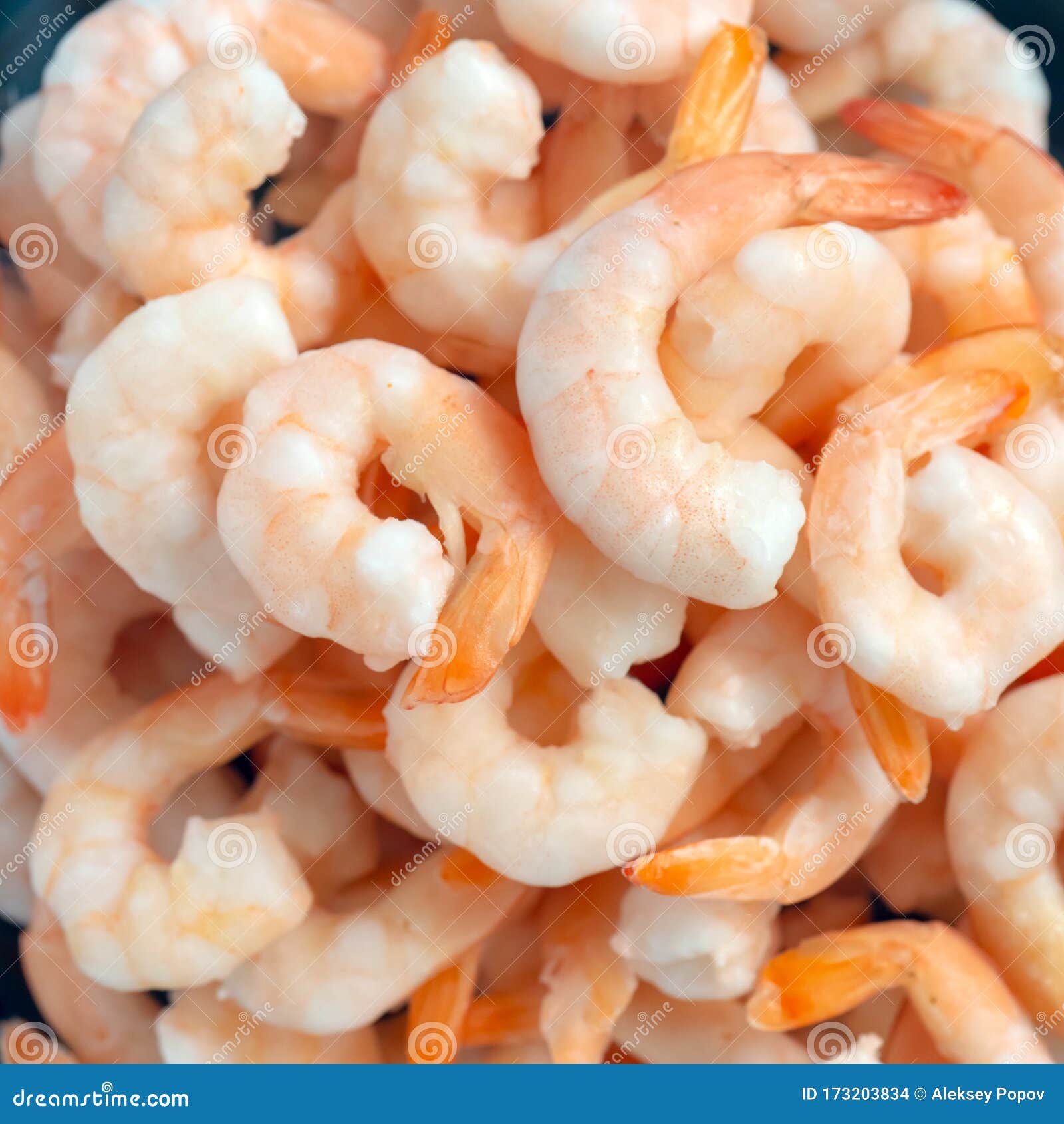 Frozen shrimp. Top view stock photo. Image of health - 173203834