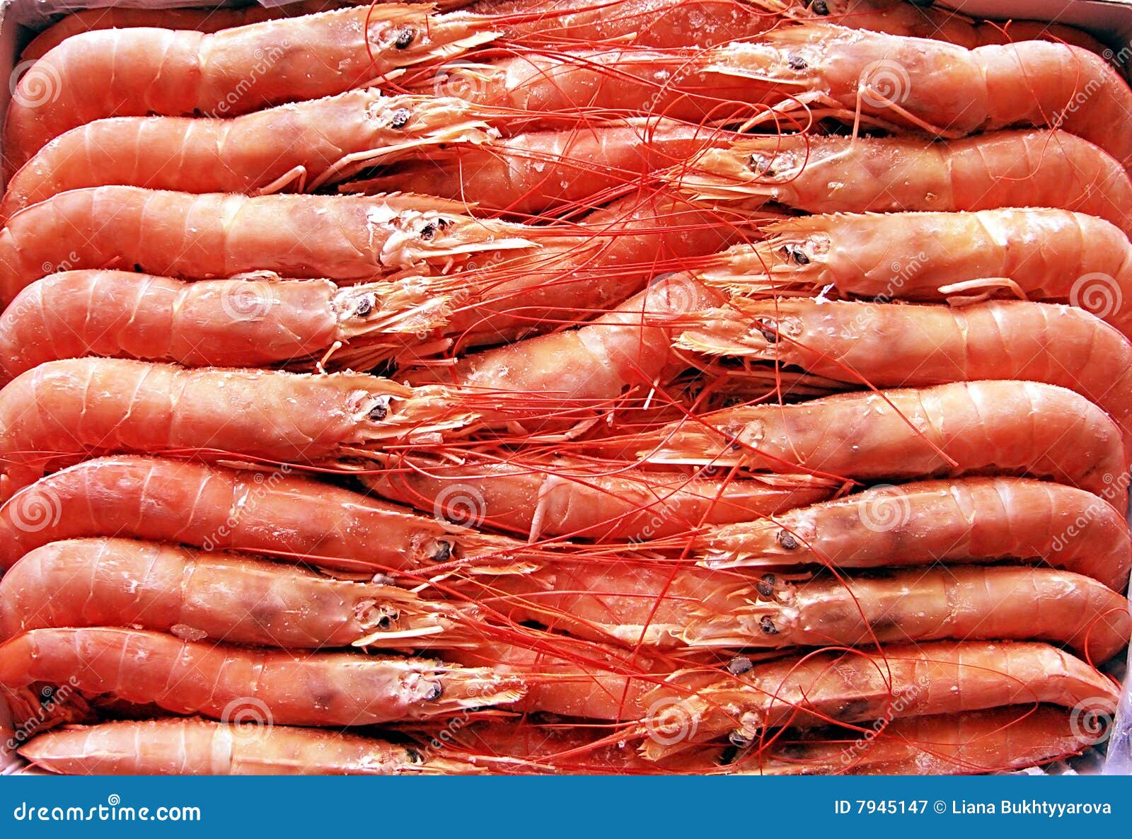 Frozen shrimps. stock image. Image of supermarket, cold - 7945147