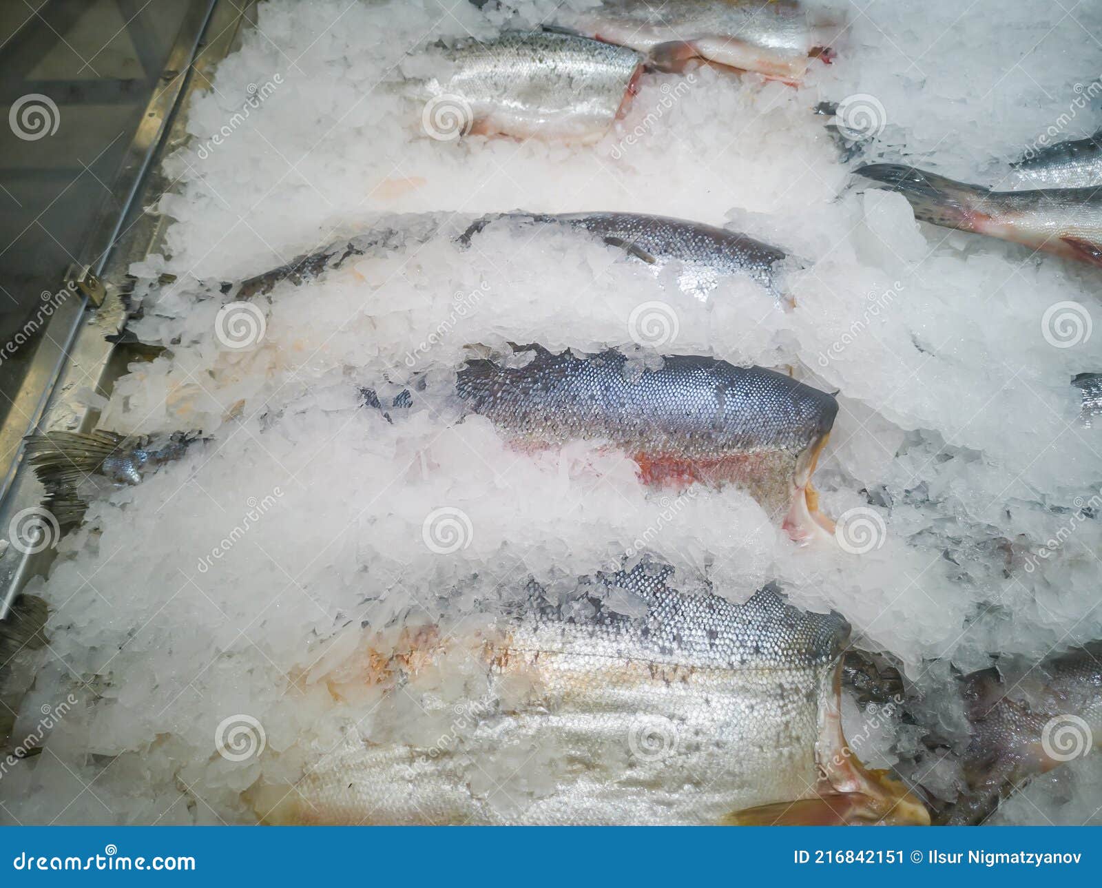 Frozen Slices of Big Fish among Ice in a Hypermarket Stock Image ...