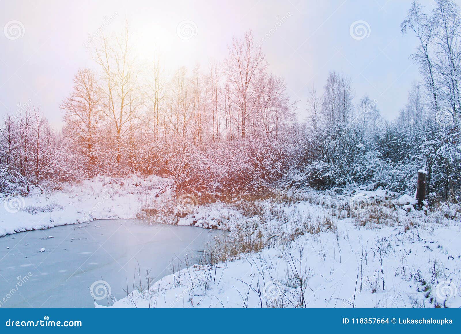 Frozen Small Pond with Snow and Trees. Czech Landscape Stock Photo ...