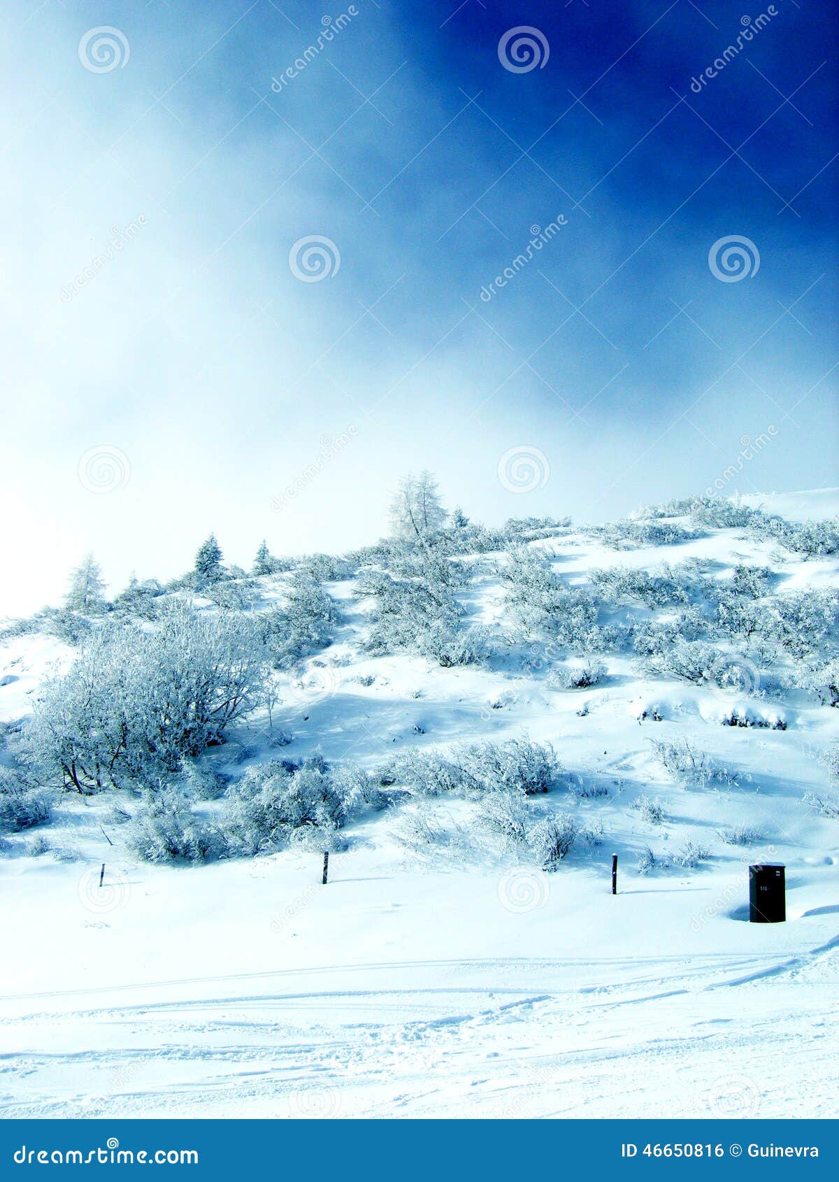 Frozen stock photo. Image of mountain, season, snow, cold - 46650816