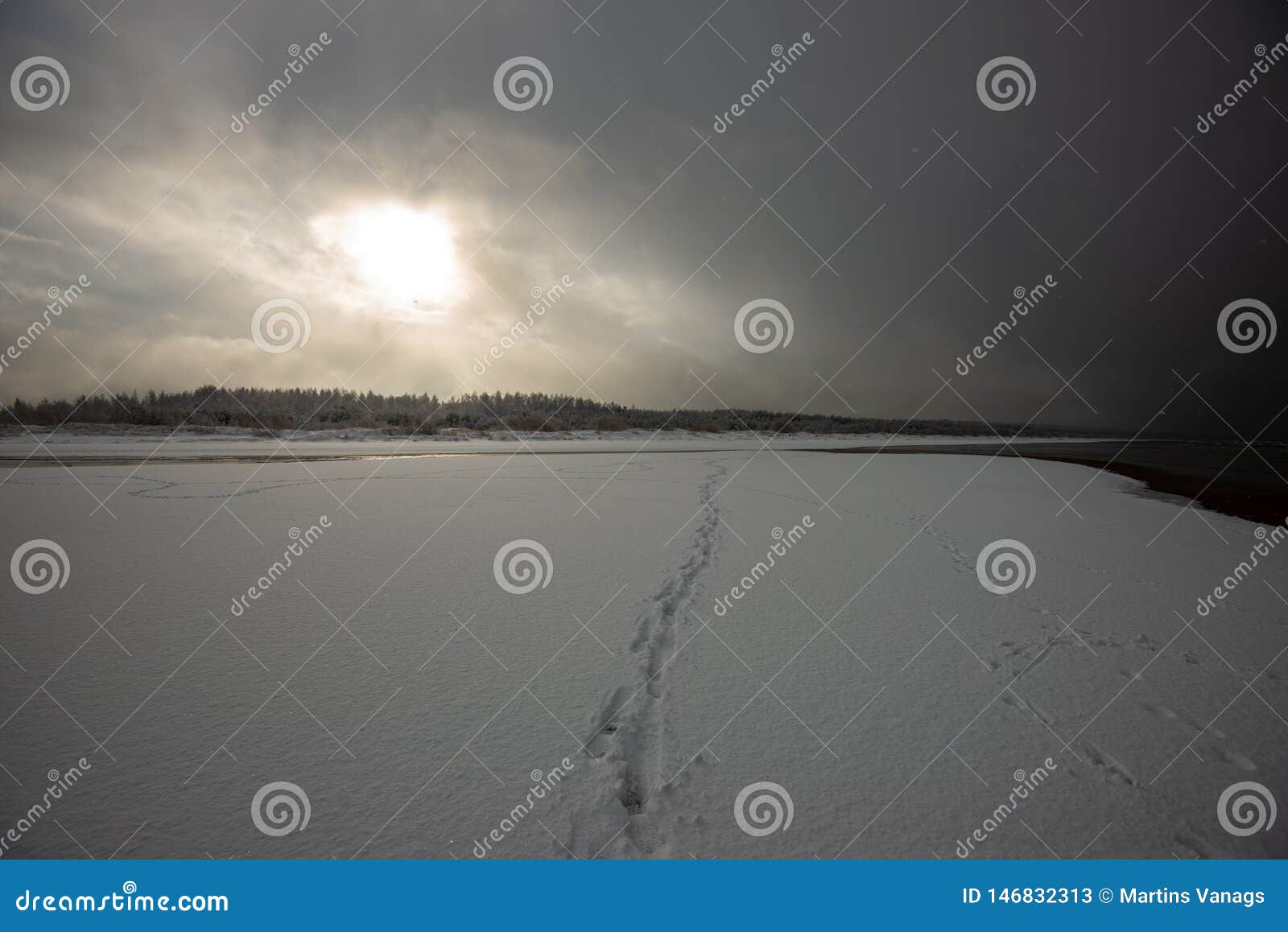 Frozen Snow Covered Beach by the Sea Stock Image - Image of tree, snow ...