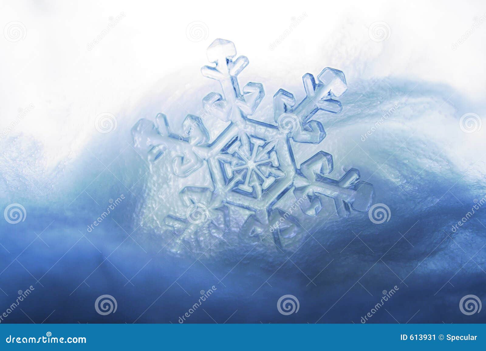 Frozen snowflake stock image. Image of christmas, pretty - 613931