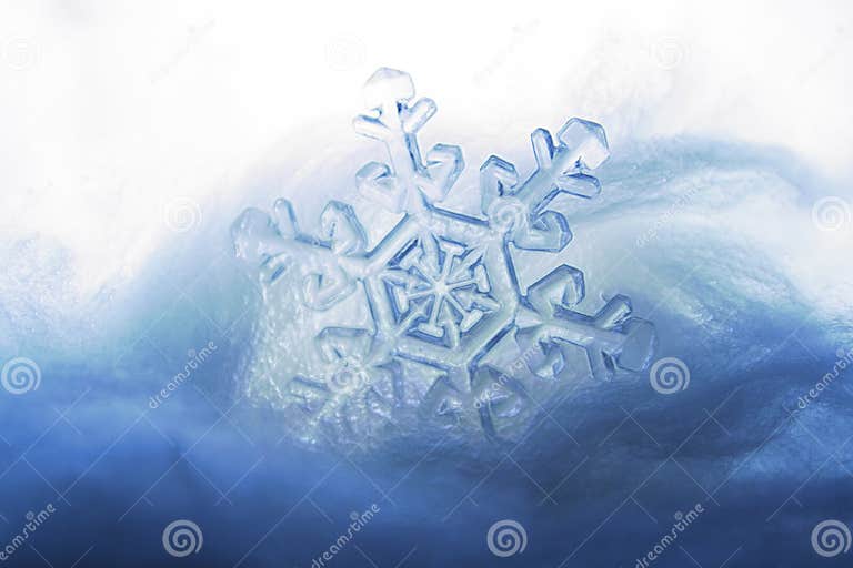 Frozen snowflake stock image. Image of christmas, pretty - 613931