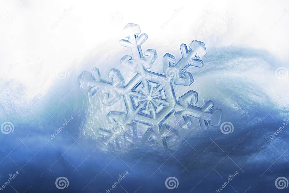 Frozen snowflake stock image. Image of christmas, pretty - 613931