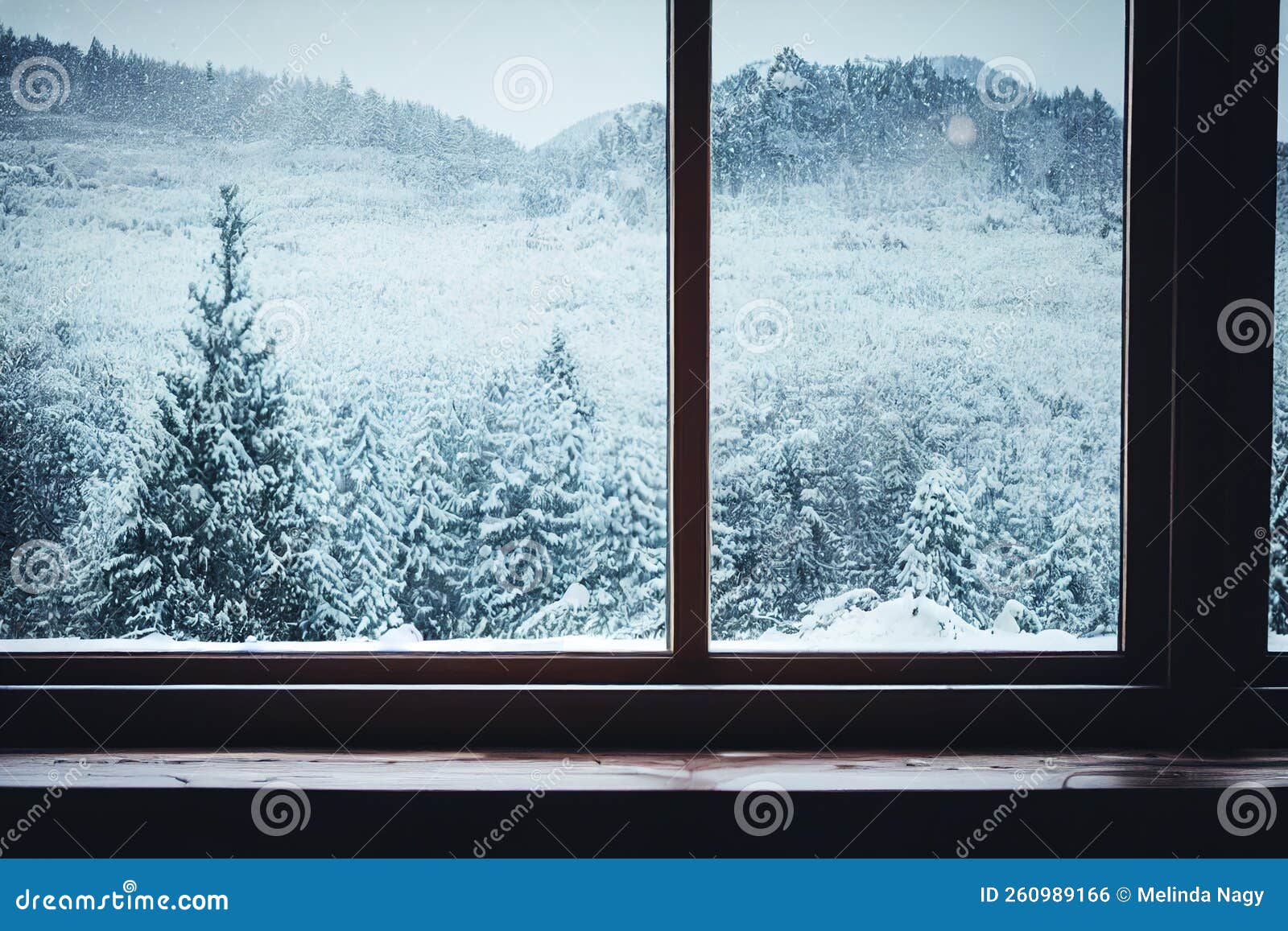 Frozen Snowy Winter Scene through Window Stock Photo - Image of snow ...
