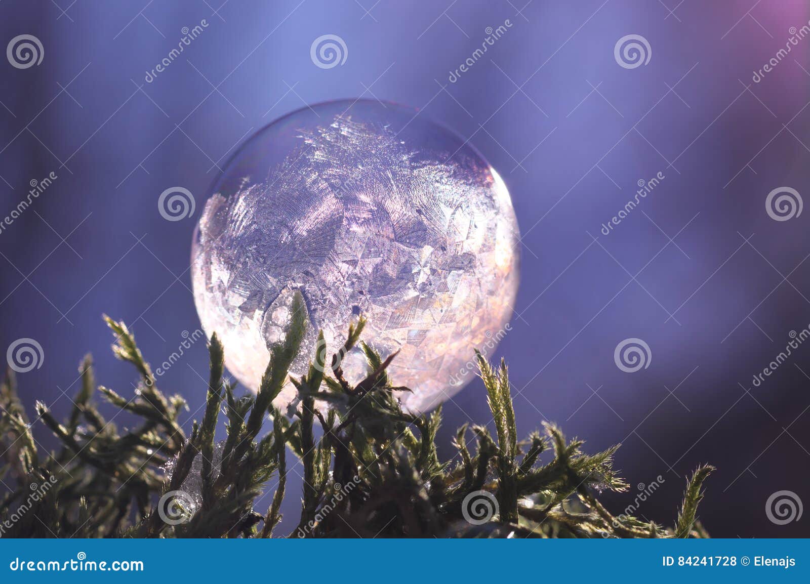 Frozen Soap Bubble - Close Up Stock Photo - Image of like, painting ...