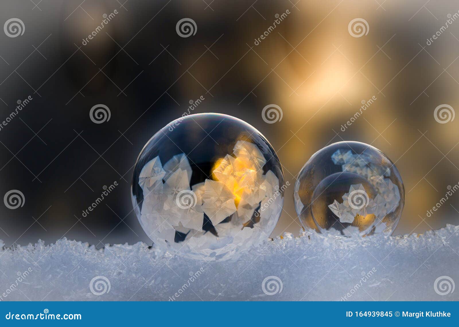 Frozen Soap Bubble in Golden Sunlight from Behind Stock Image - Image ...