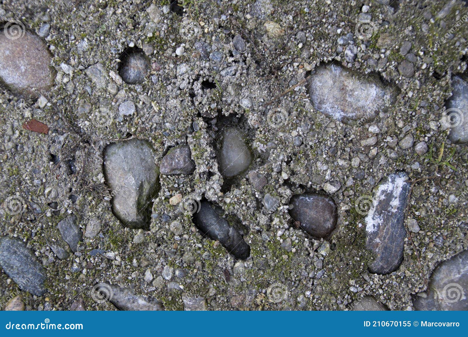 Frozen soil in winter stock image. Image of road, north - 210670155